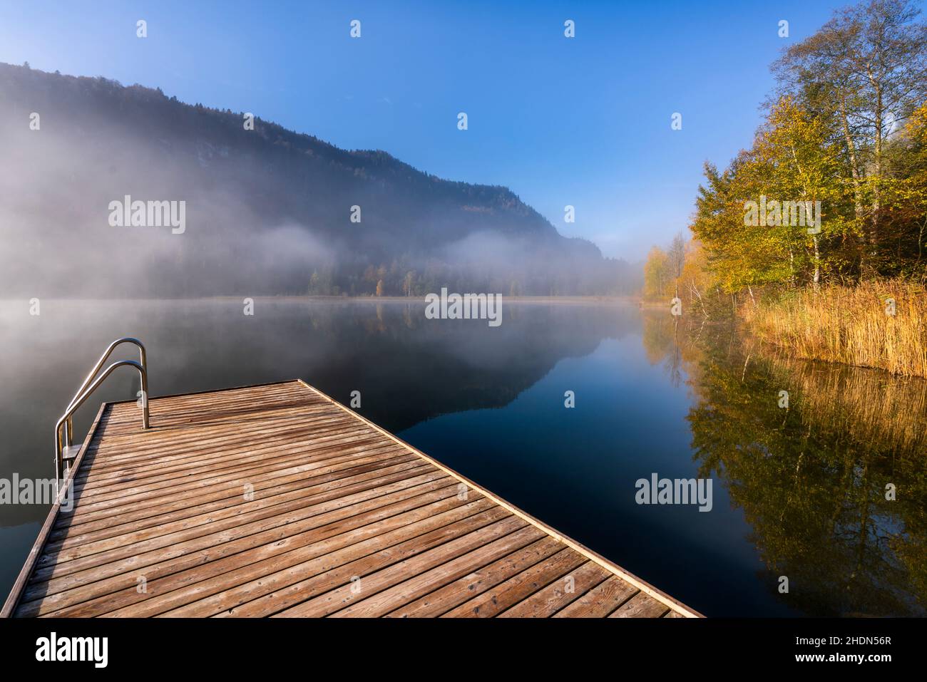 jetty, swan lake, jetties, swan lakes Stock Photo - Alamy