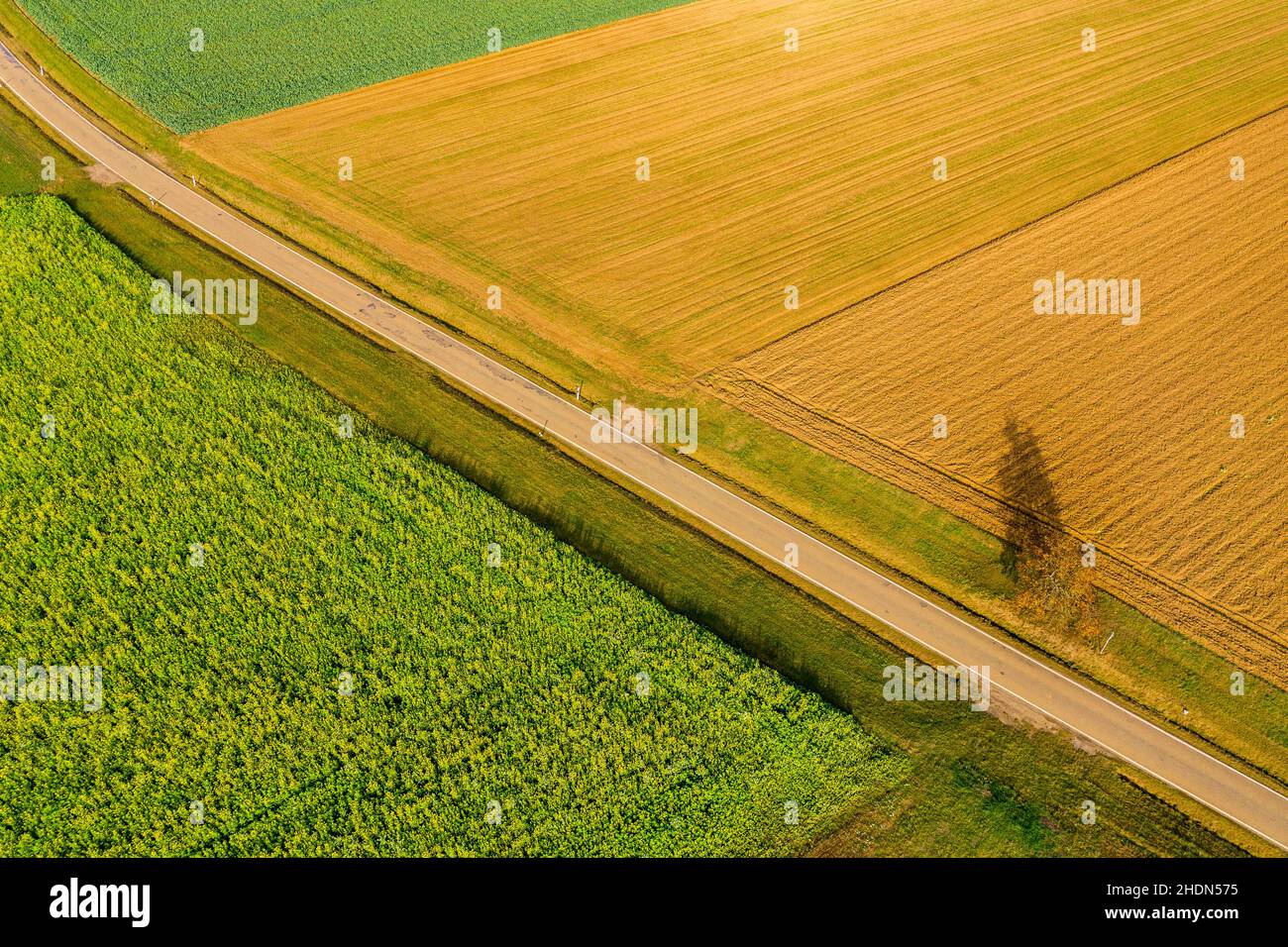 field, road, fields, roads, street, streets Stock Photo - Alamy