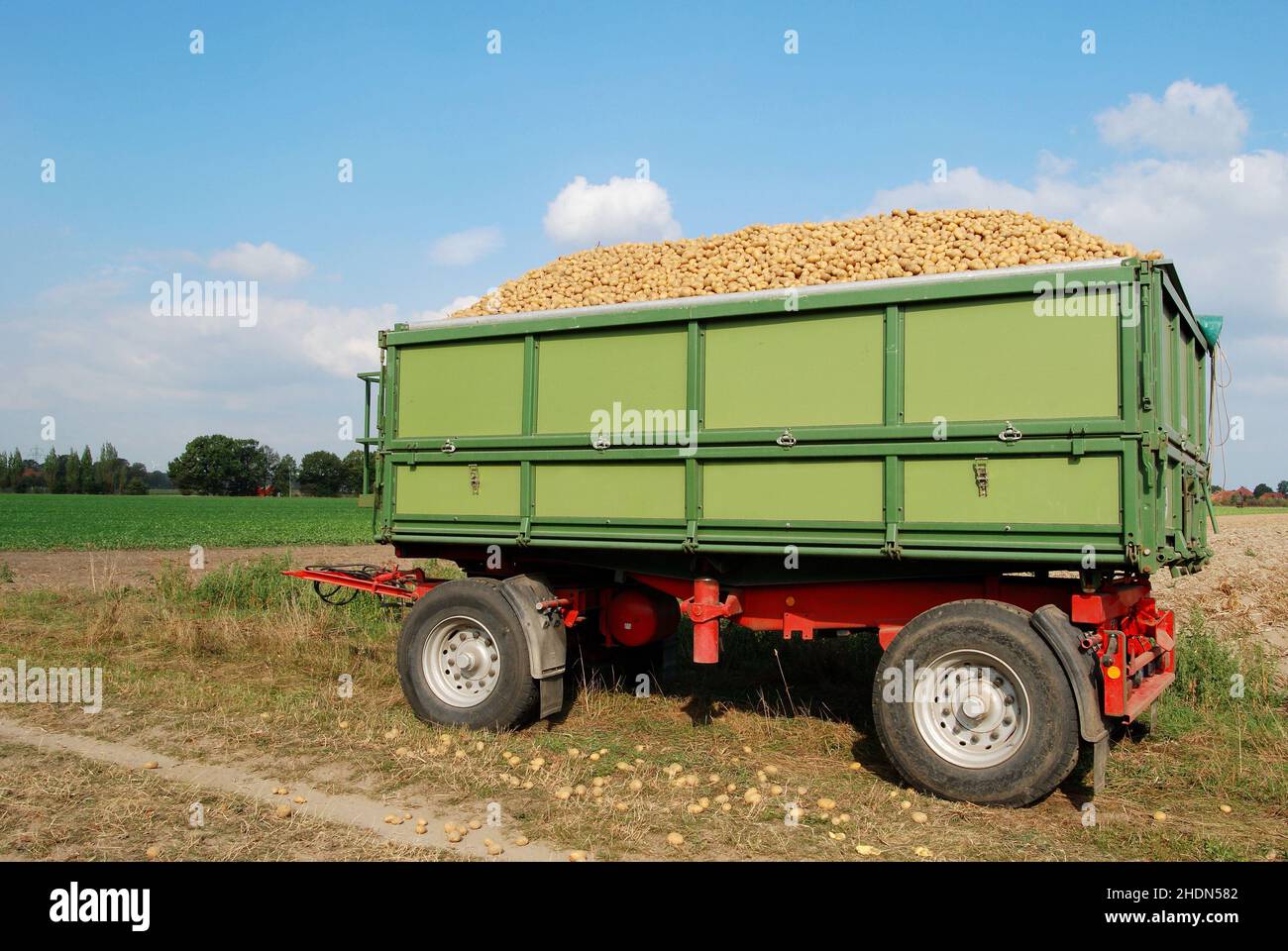 vehicle trailer, potato harvest, vehicle trailers, potato harvests ...