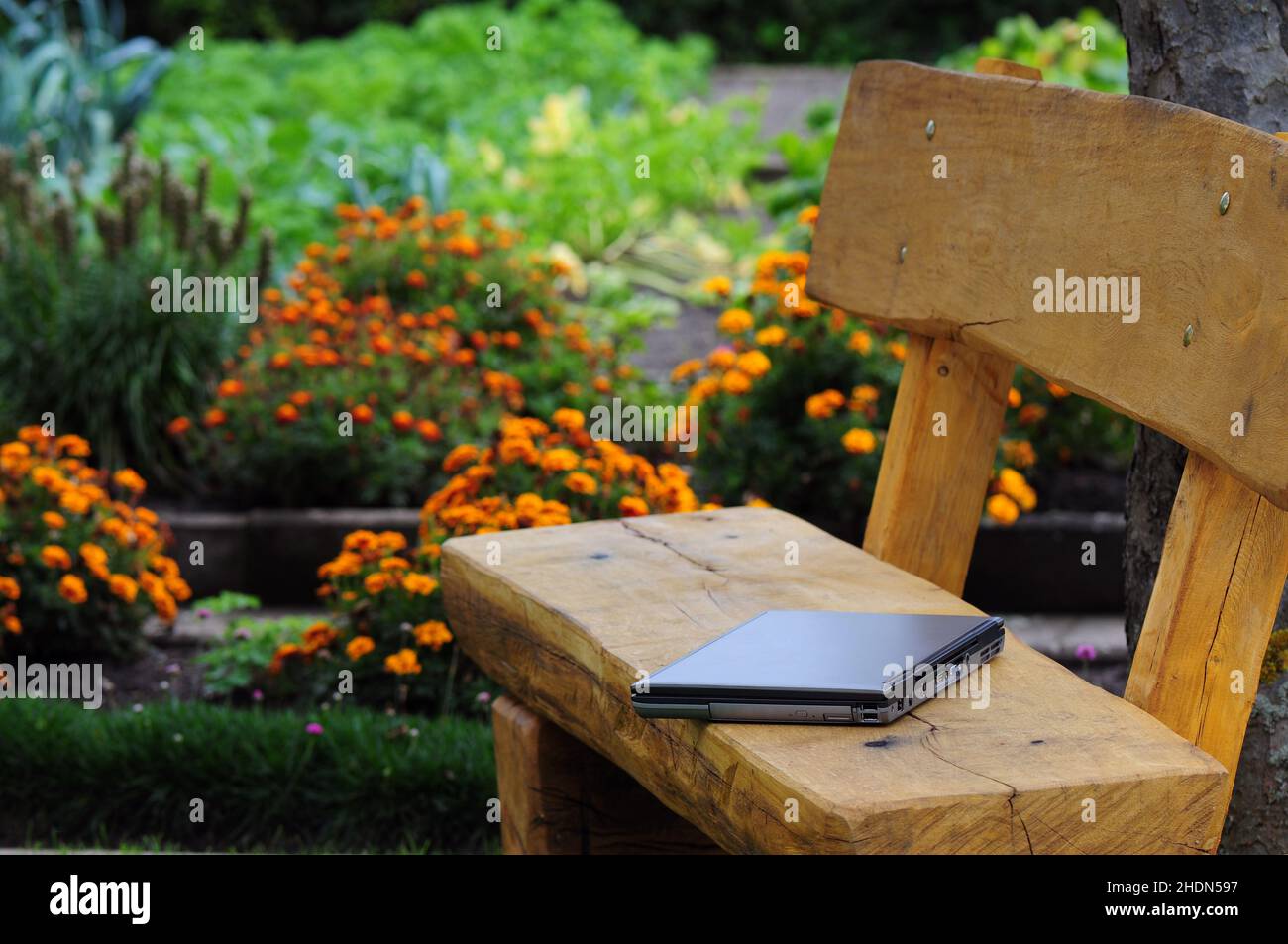 Resting benchs hi-res stock photography and images - Alamy