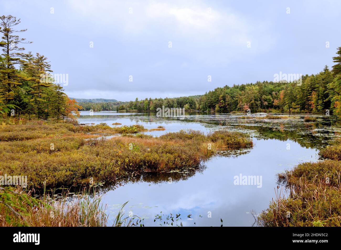 Swamps shores hi-res stock photography and images - Alamy