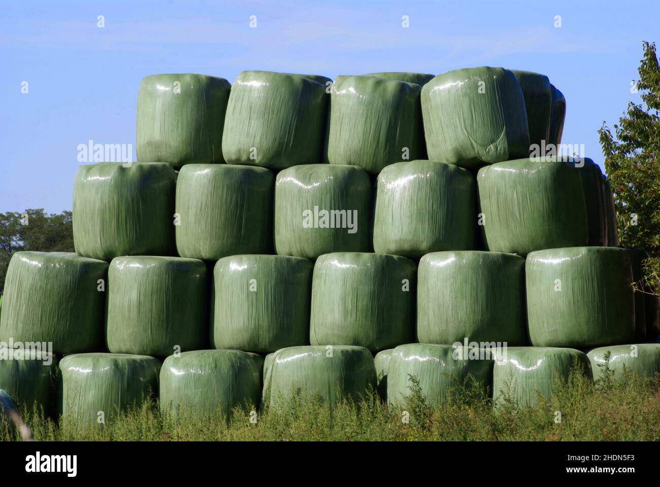 agriculture, packed, round bales, agricultures, packeds, round bale ...