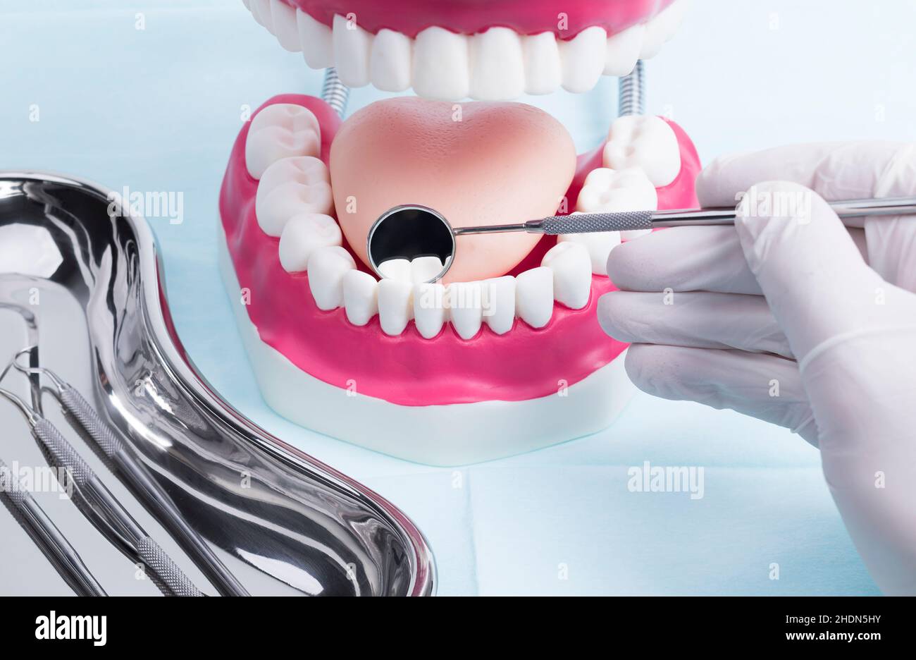 examination, mirror, dentistry, procedure, mirrors, dentistries Stock ...