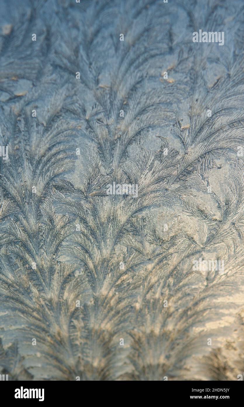 pattern, frozen, frost pattern, patterns, frozens, frost patterns Stock ...