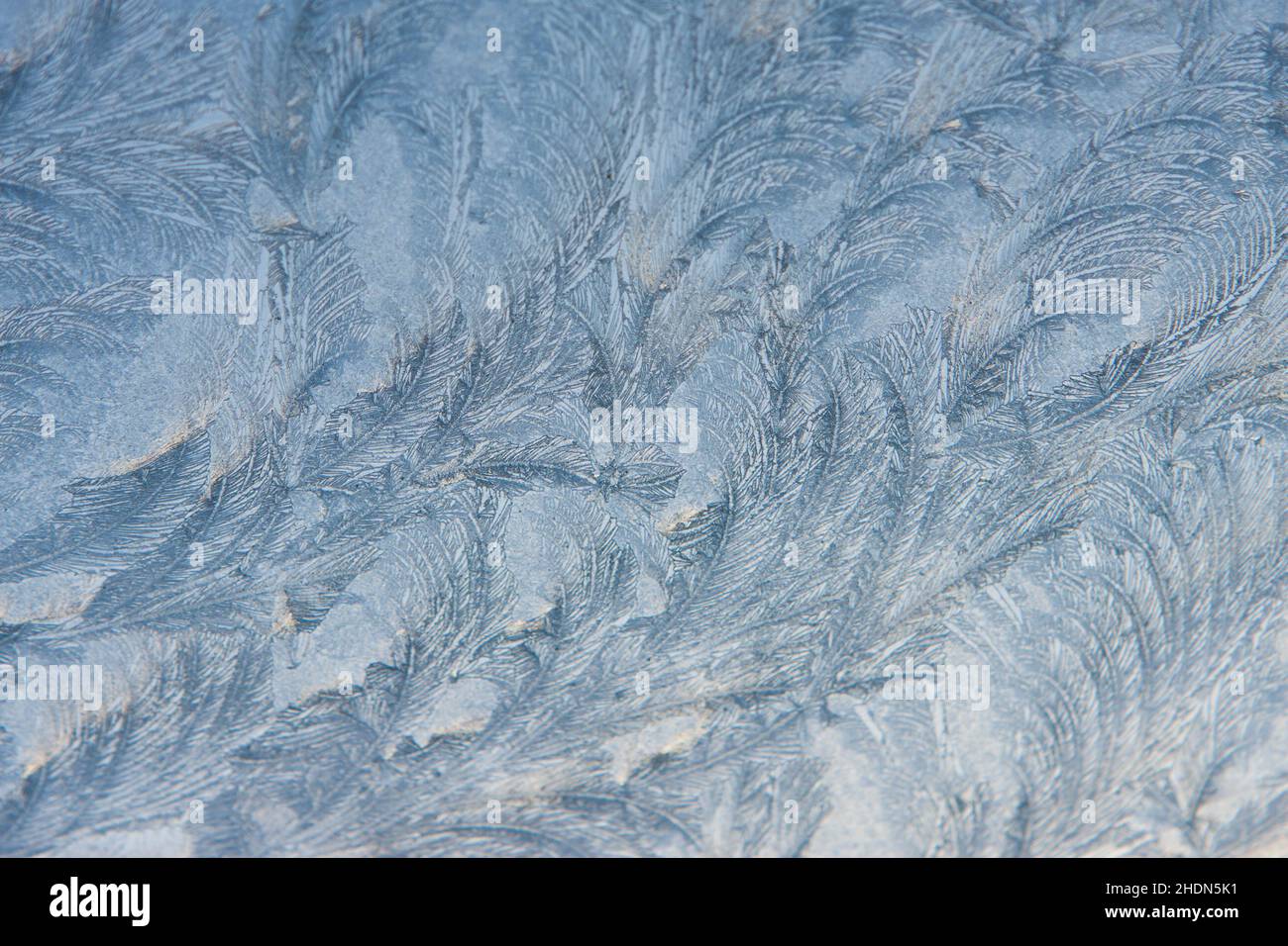 pattern, frozen, frost pattern, patterns, frozens, frost patterns Stock ...