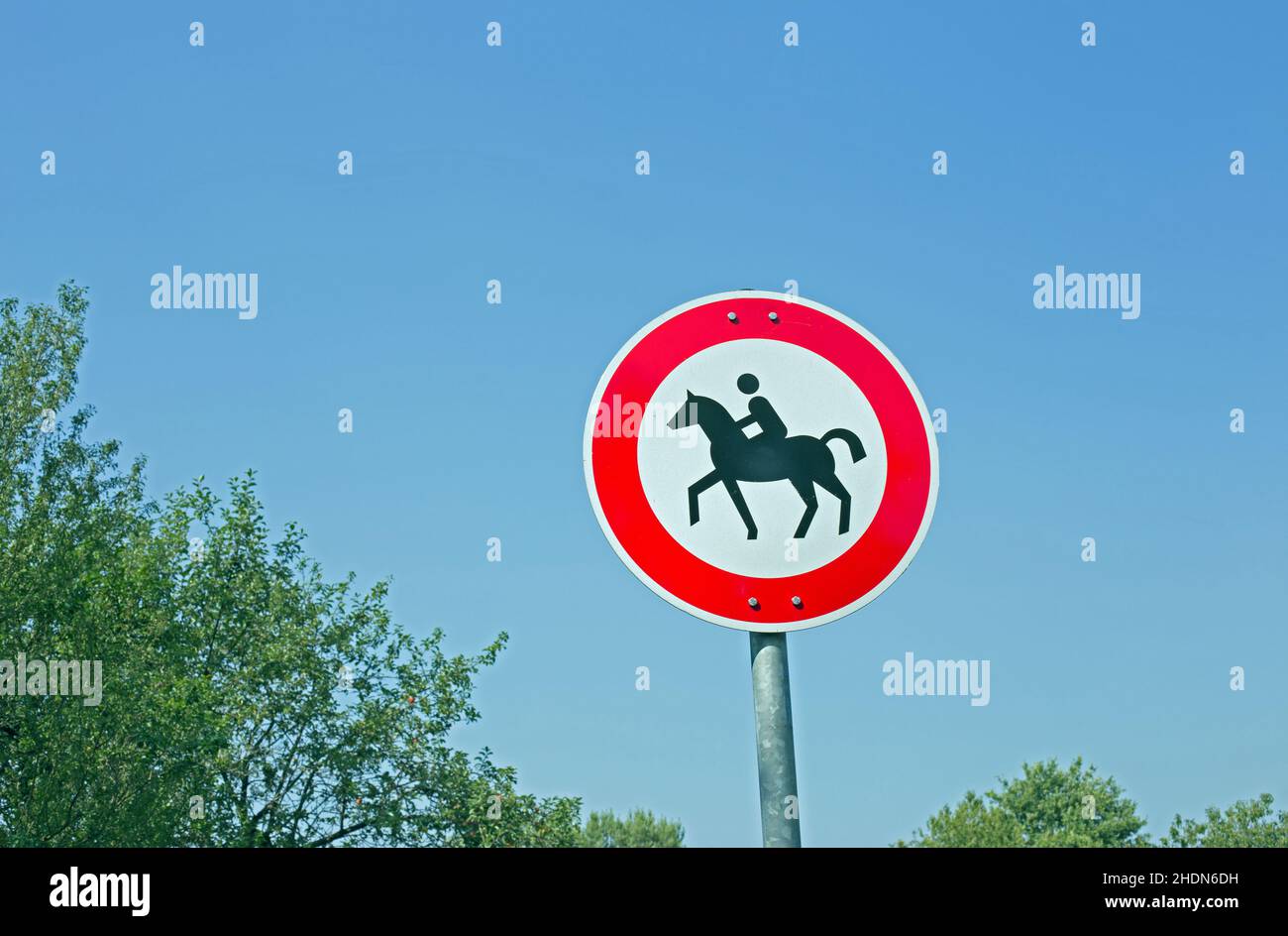 traffic sign, no riding, road sign, road signs, traffic signs, riding ...