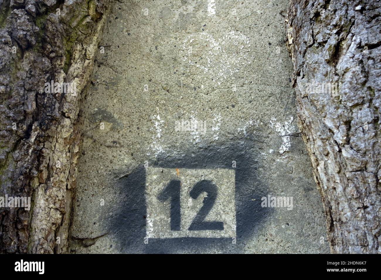 12 objects hi-res stock photography and images - Alamy