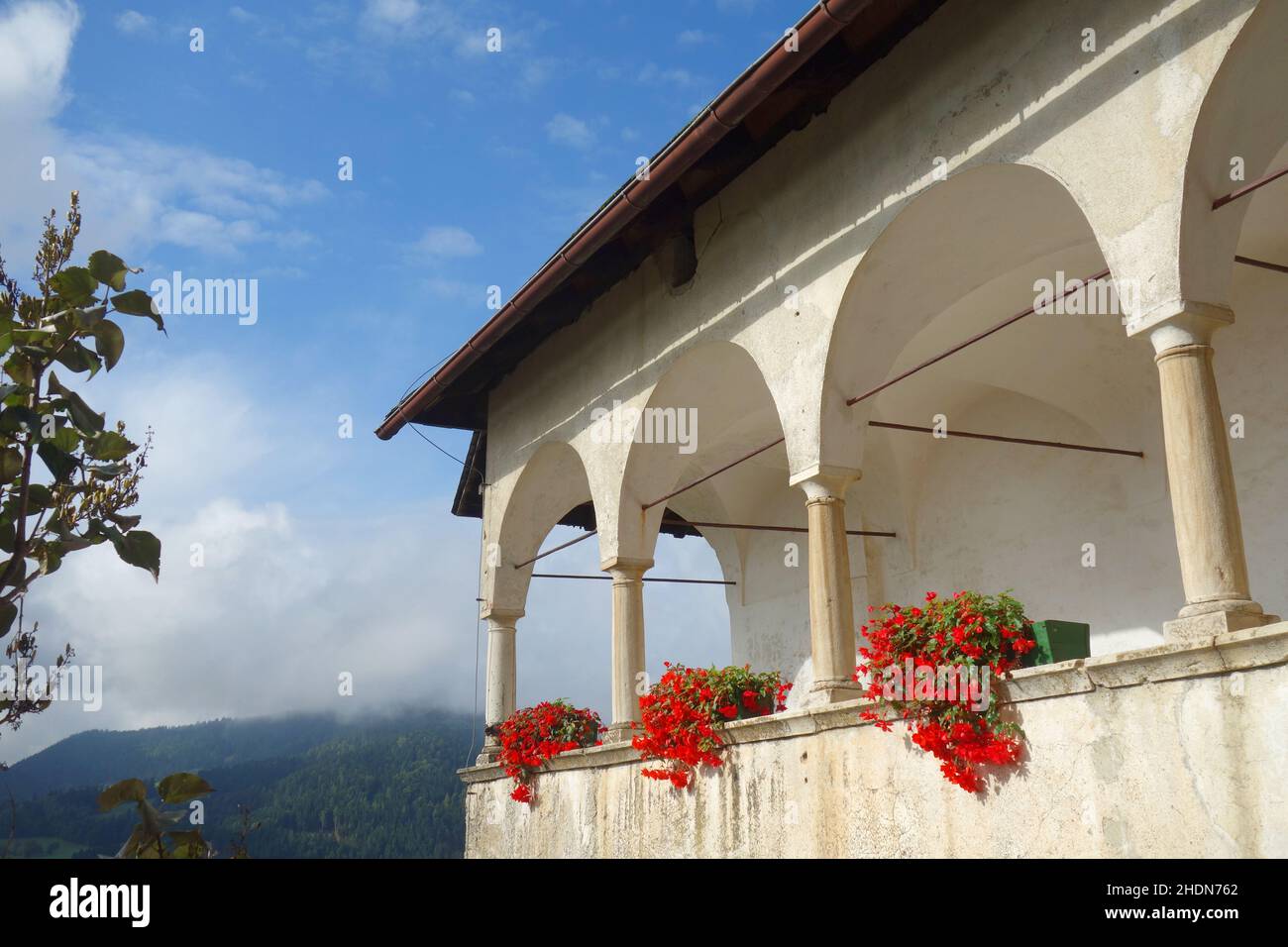 balcony, flower arrangement, arched windows, balconies, flower ...