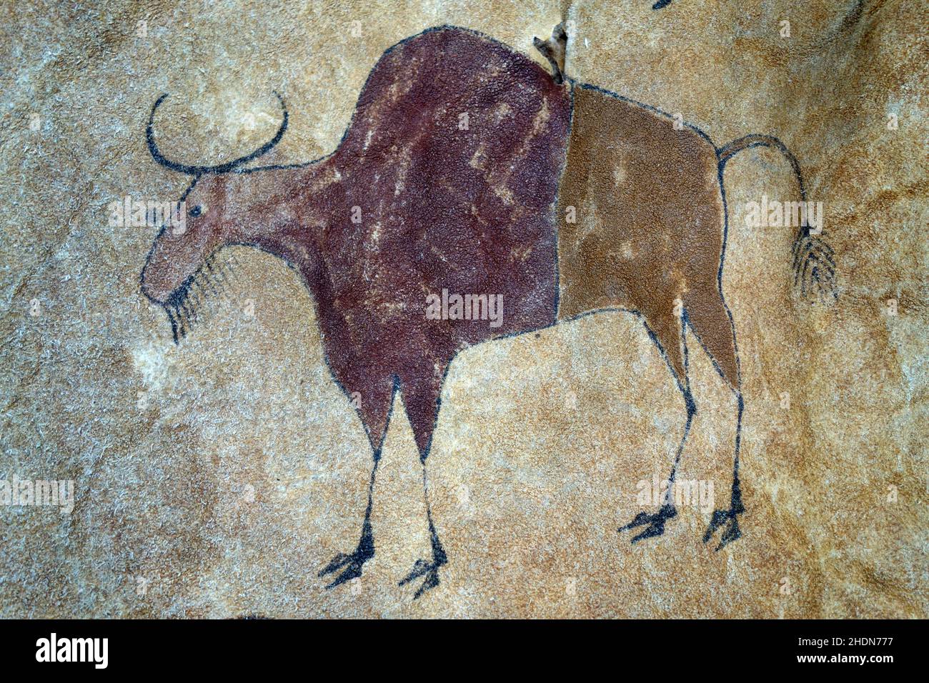 buffalo, cave drawings, bison, buffalos, cave drawing Stock Photo - Alamy