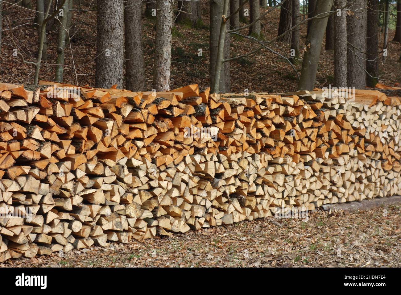 wood pile, logs, firewood stack, wood piles, firewood stacks Stock ...