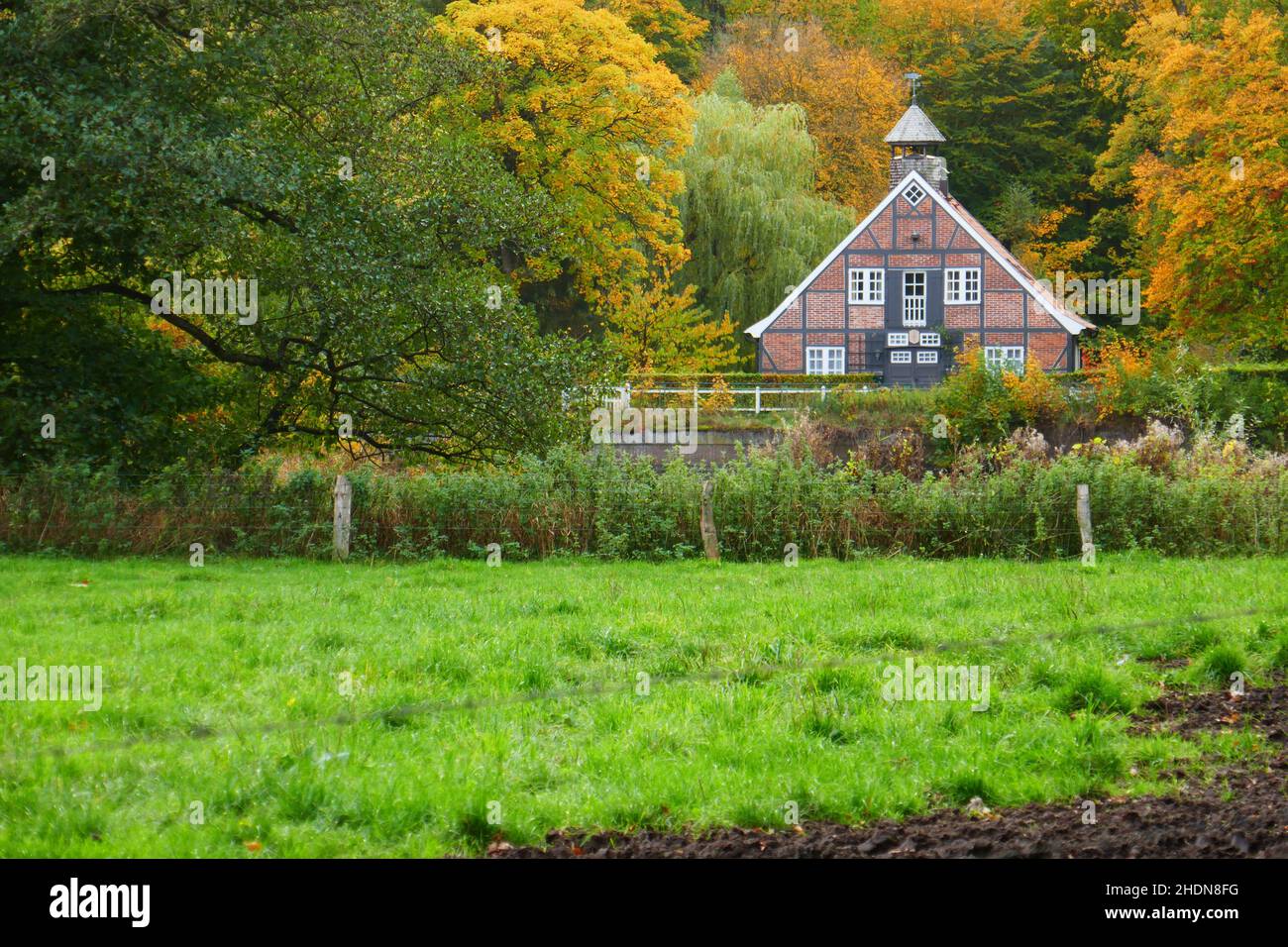 Ancient wood pastures hi-res stock photography and images - Alamy