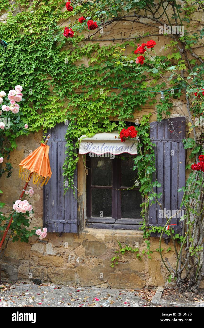 window, restaurant, windows, restaurants Stock Photo - Alamy