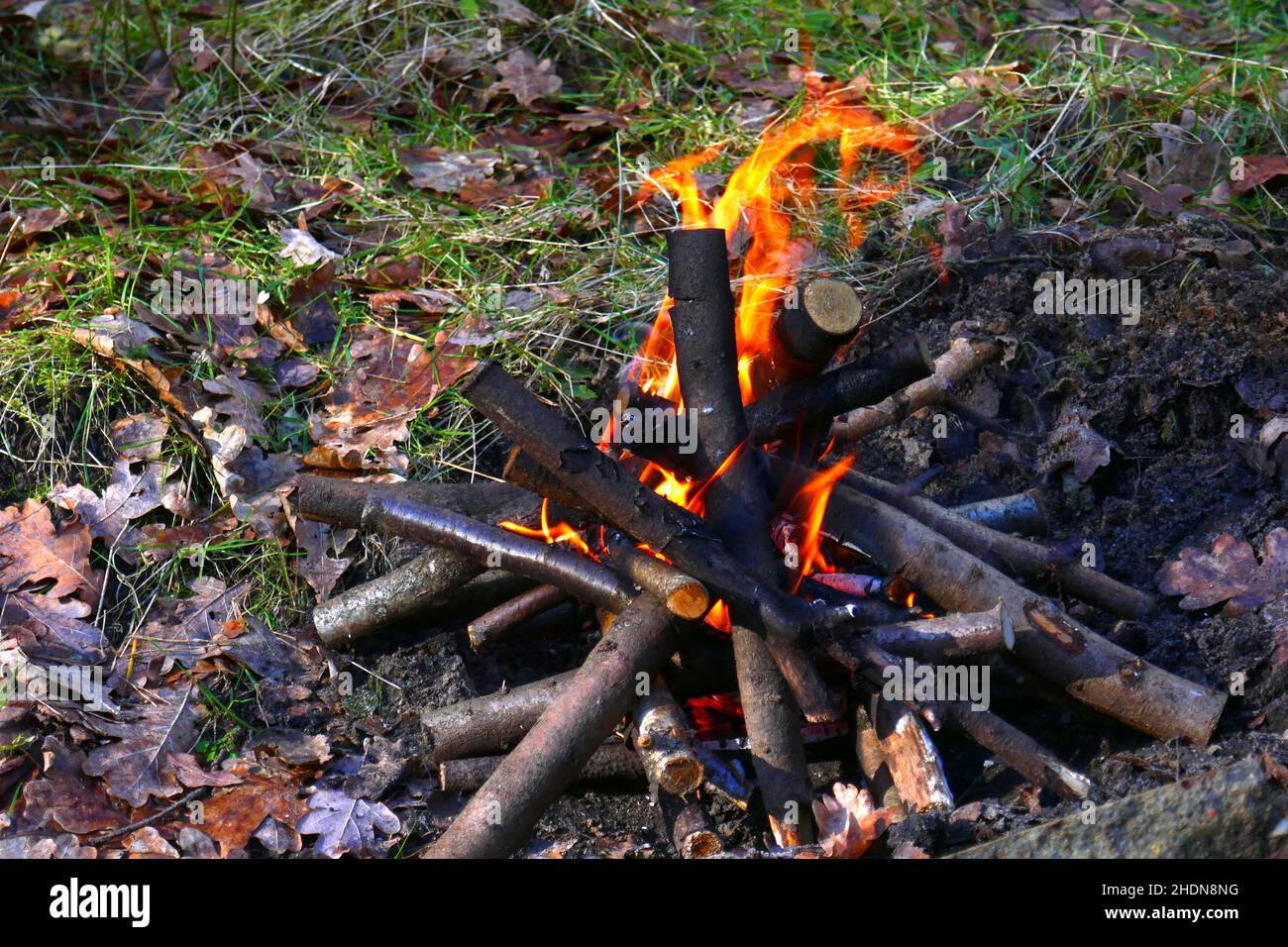 campfire, logs, firewood, campfires, firewoods Stock Photo - Alamy
