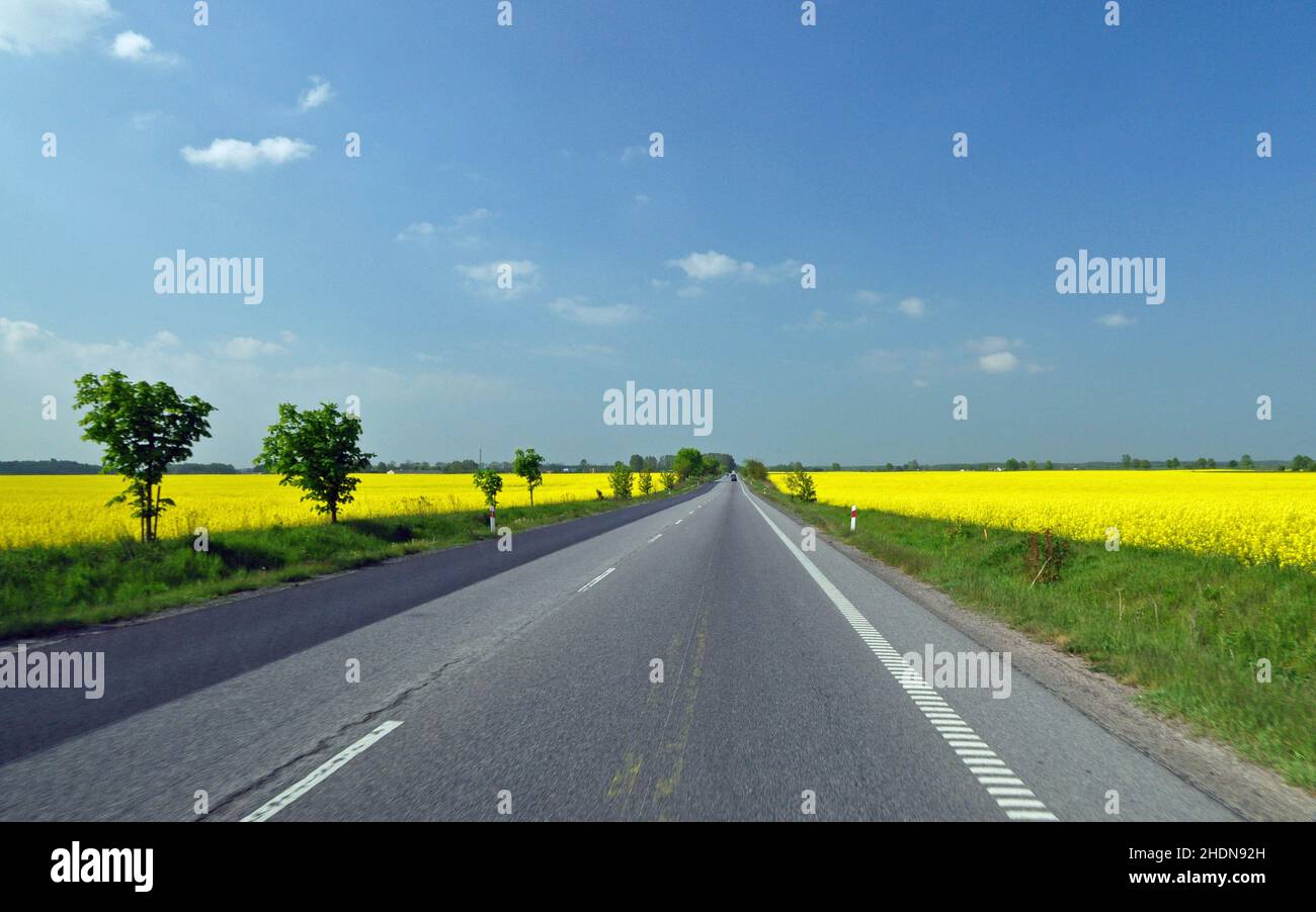 direction, straight, road, directions, straights, roads, street ...