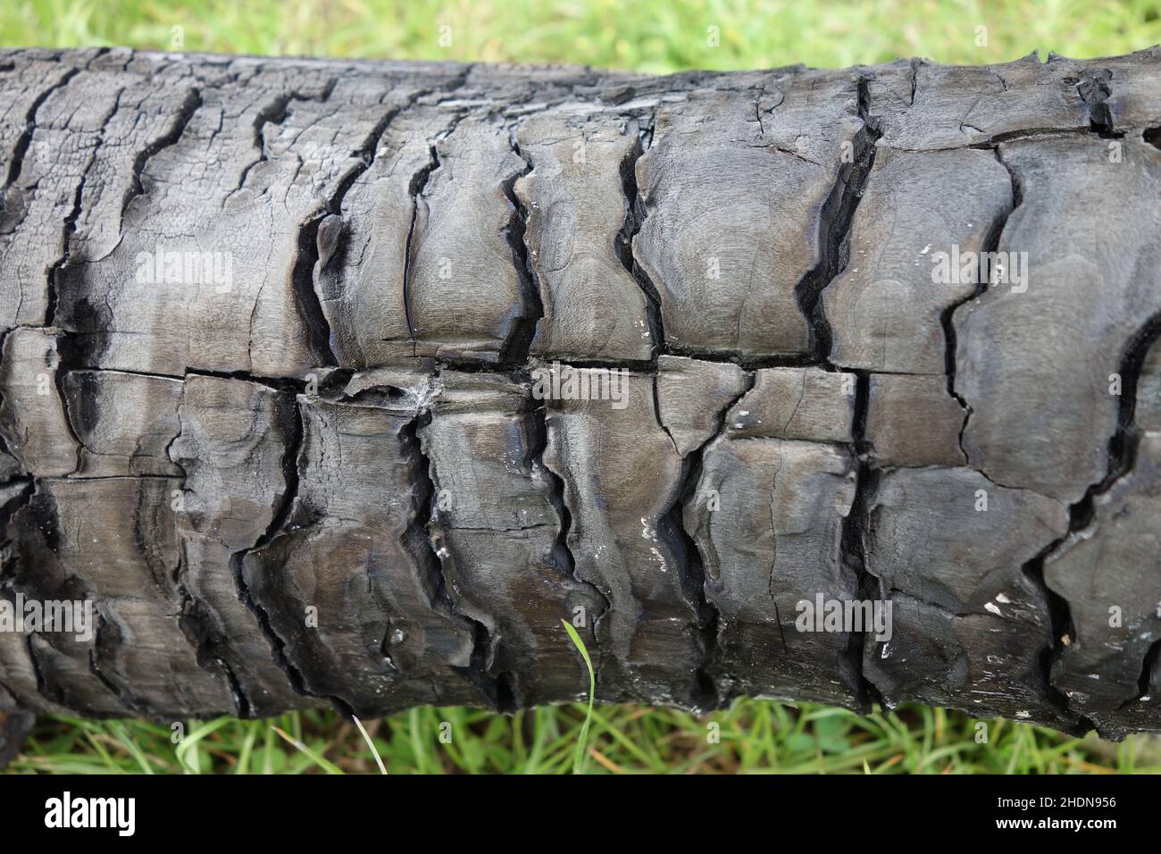 Burnts hi-res stock photography and images - Alamy