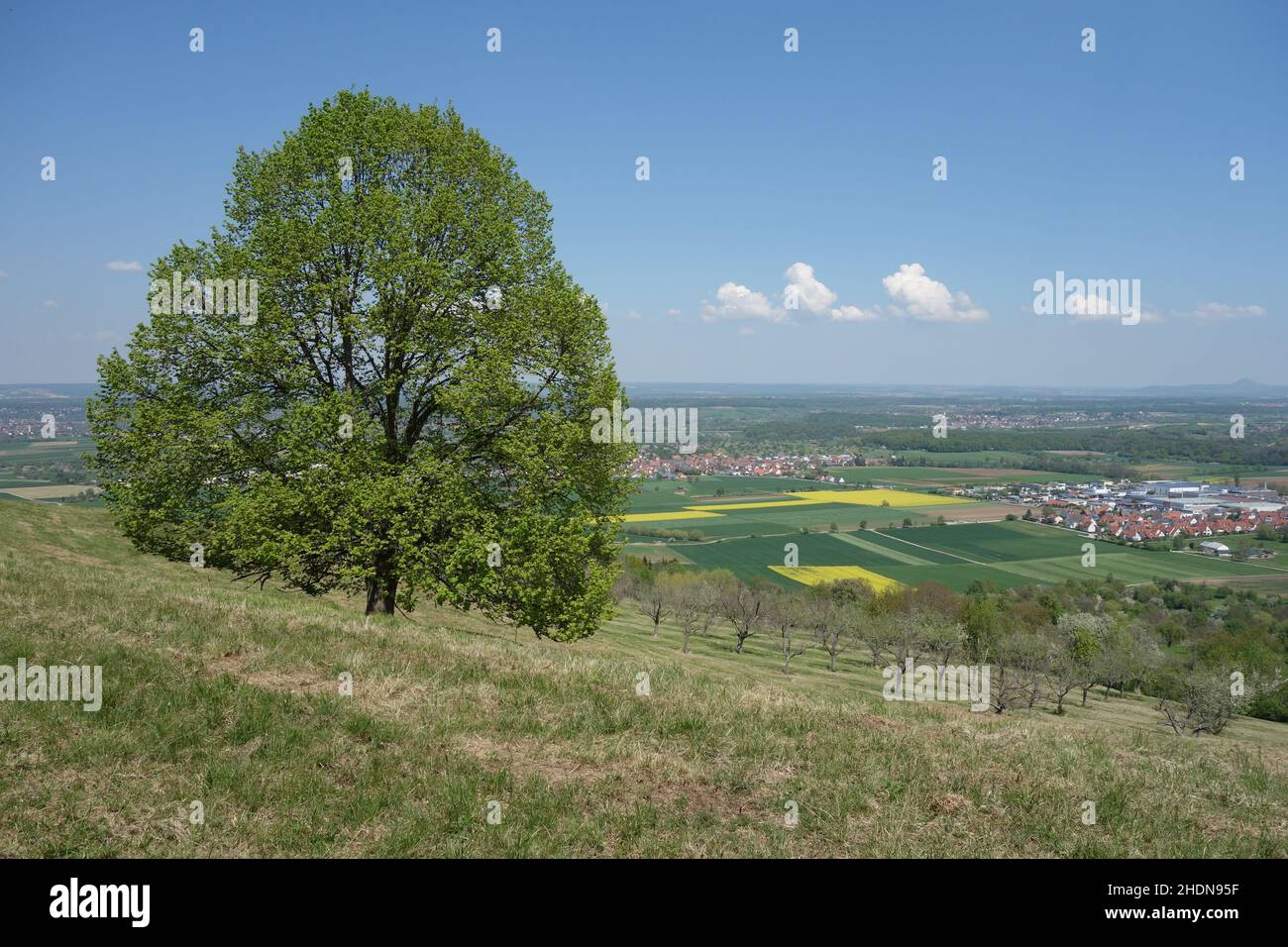 Baden wurttembergs hi-res stock photography and images - Alamy