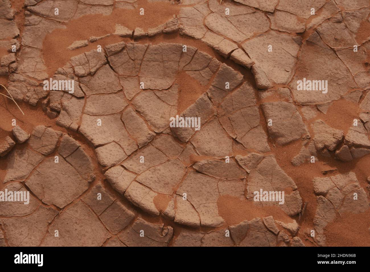 pattern, drought, patterns, arid, droughts, dry, dryness Stock Photo ...