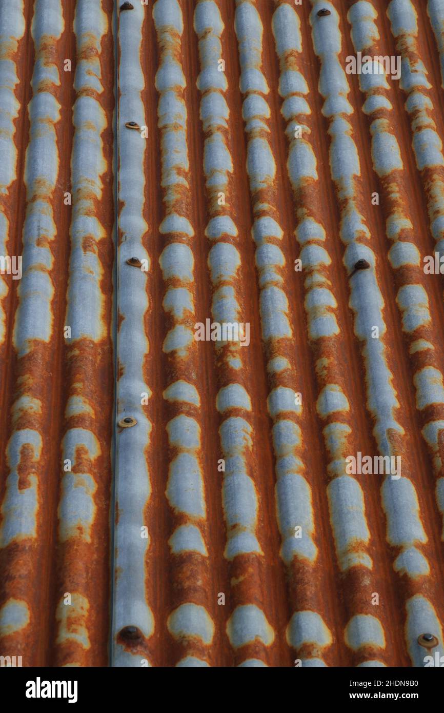 rust, corrugated iron roof, rusted, rusty, corrugated iron roofs Stock ...