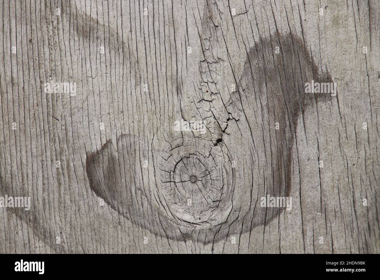 duck, structure, ducks, structures Stock Photo - Alamy