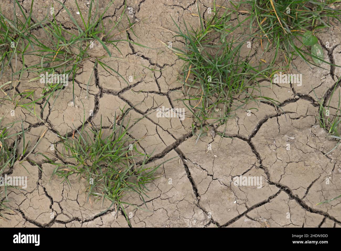 drought, cracked, ground, arid, droughts, dry, dryness, crackeds ...