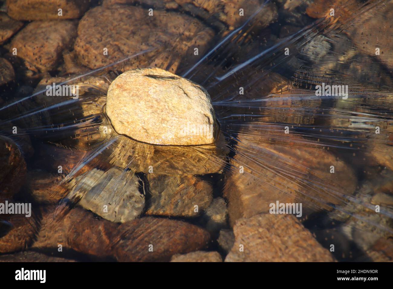 frozen, water surface, ice sheet, frozens, water surfaces, ice sheets ...