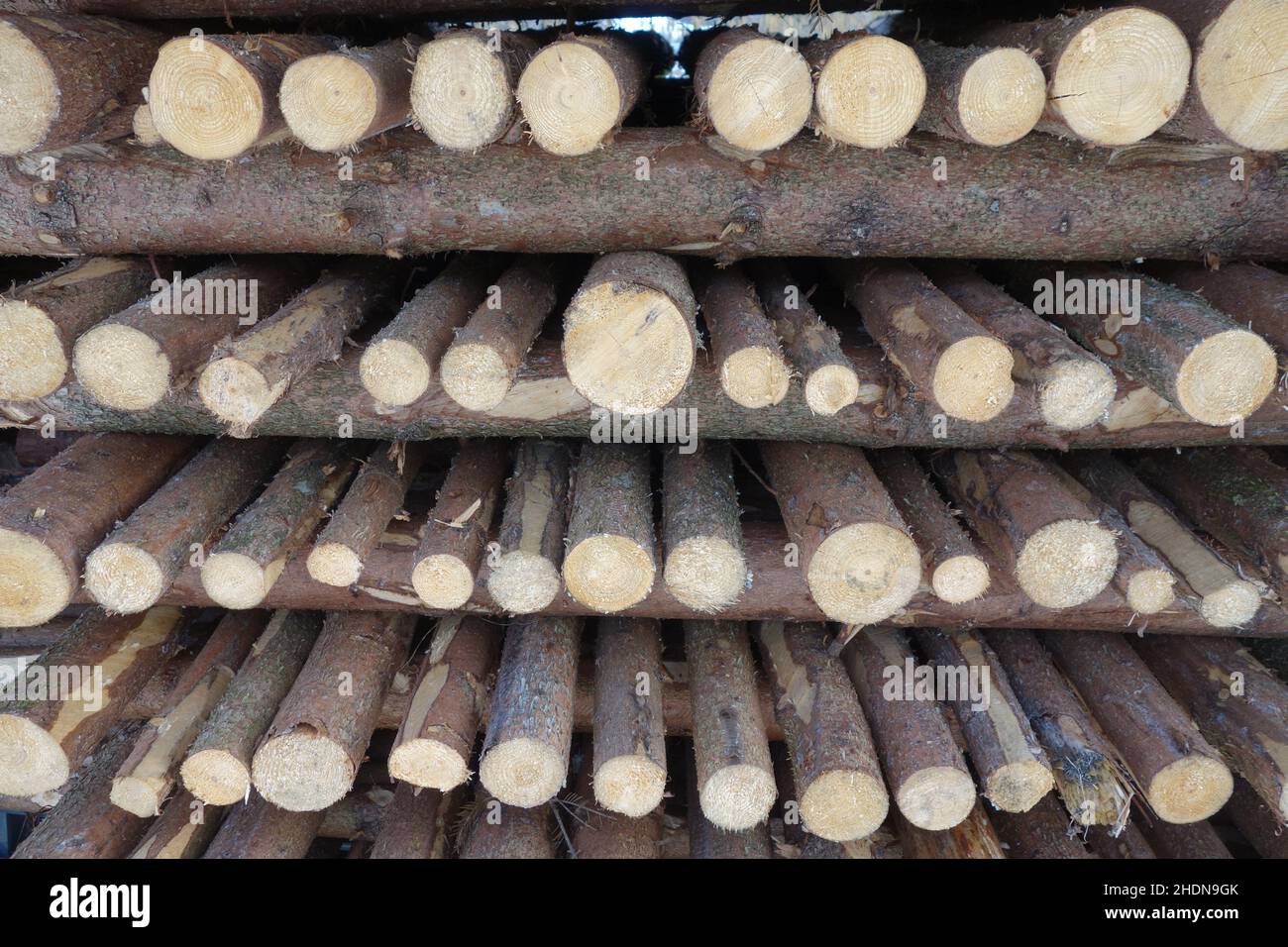 wood pile, wood piles Stock Photo - Alamy