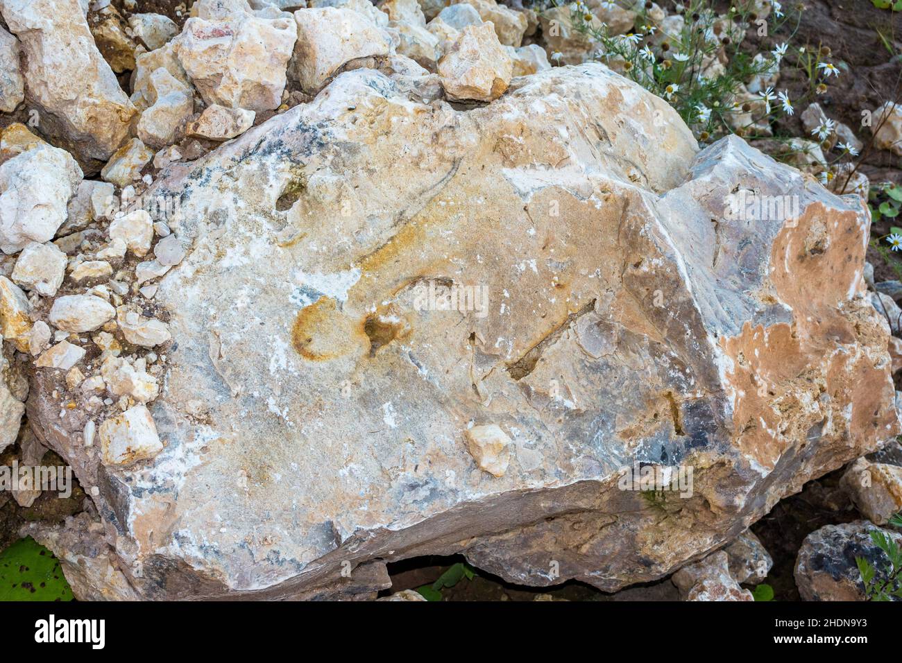 Dense rock of limestone in a stone quarry for the extraction of crushed ...