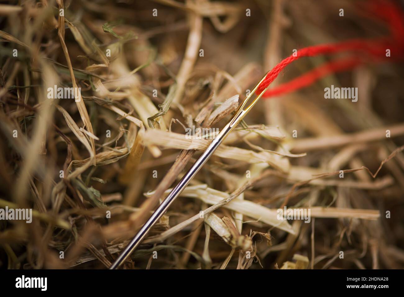 Needle in a haystacks hi-res stock photography and images - Alamy