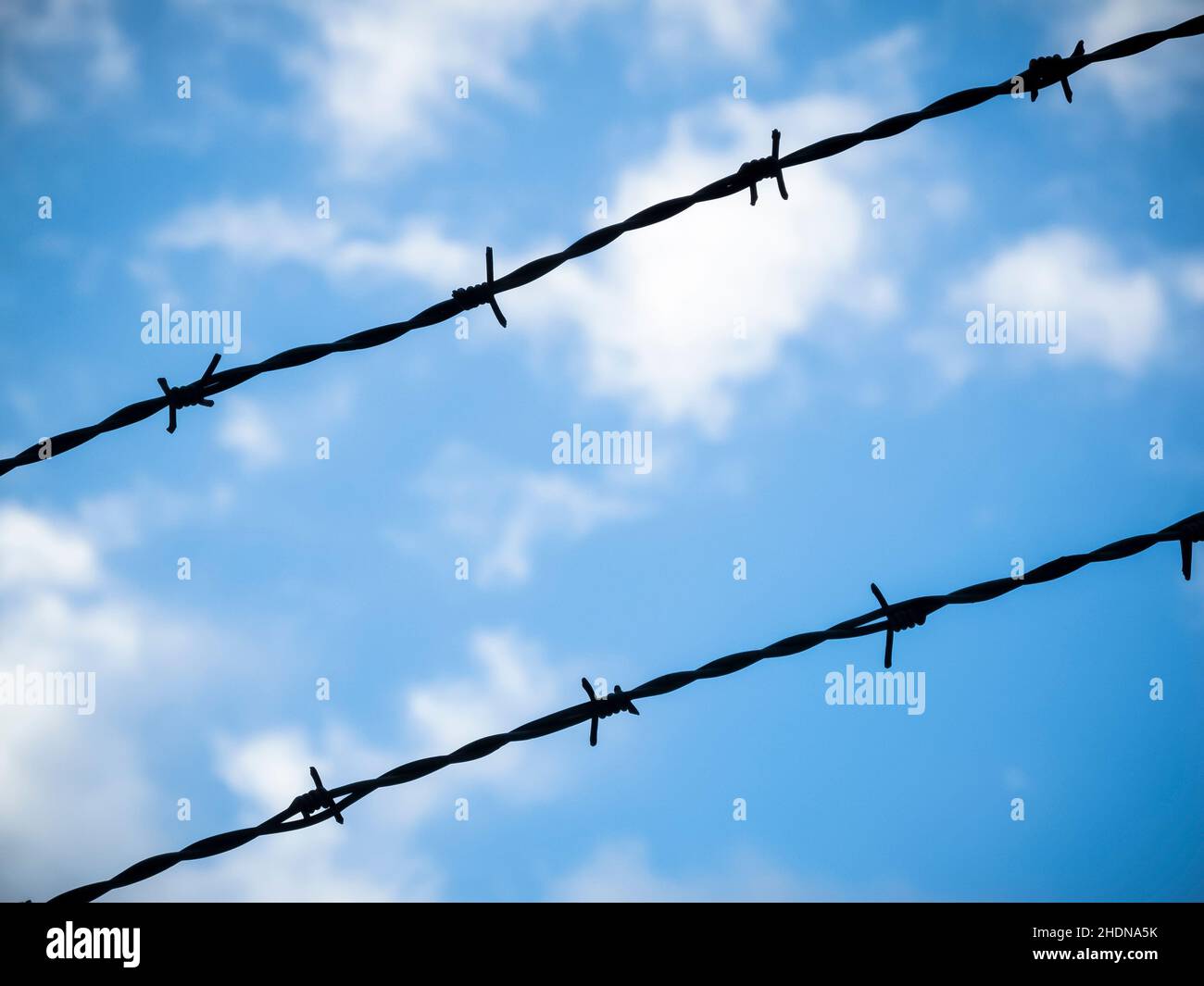 razor wire, razor wires Stock Photo - Alamy