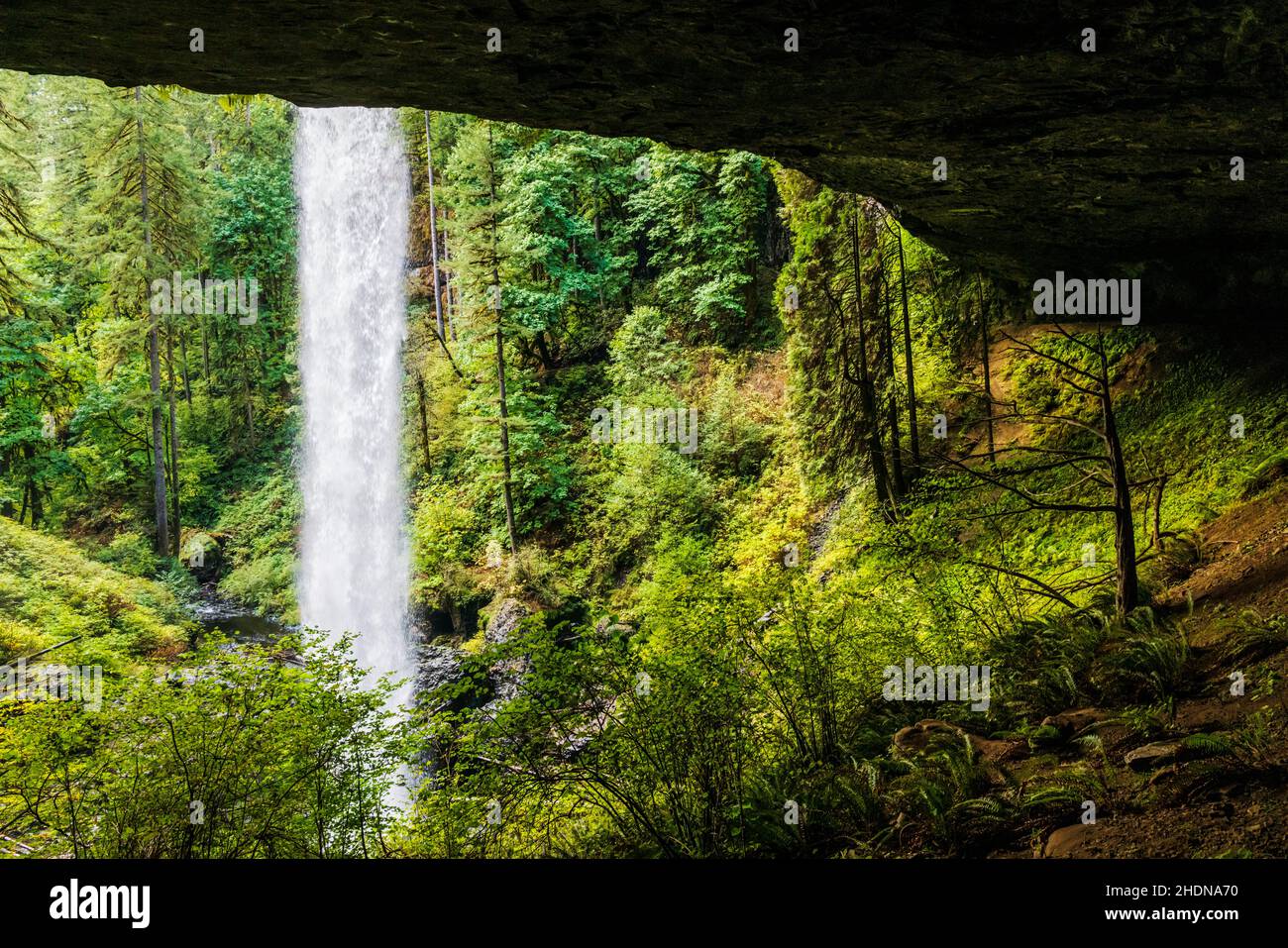 North Falls; Silver Falls State Park; Oregon; USA Stock Photo - Alamy