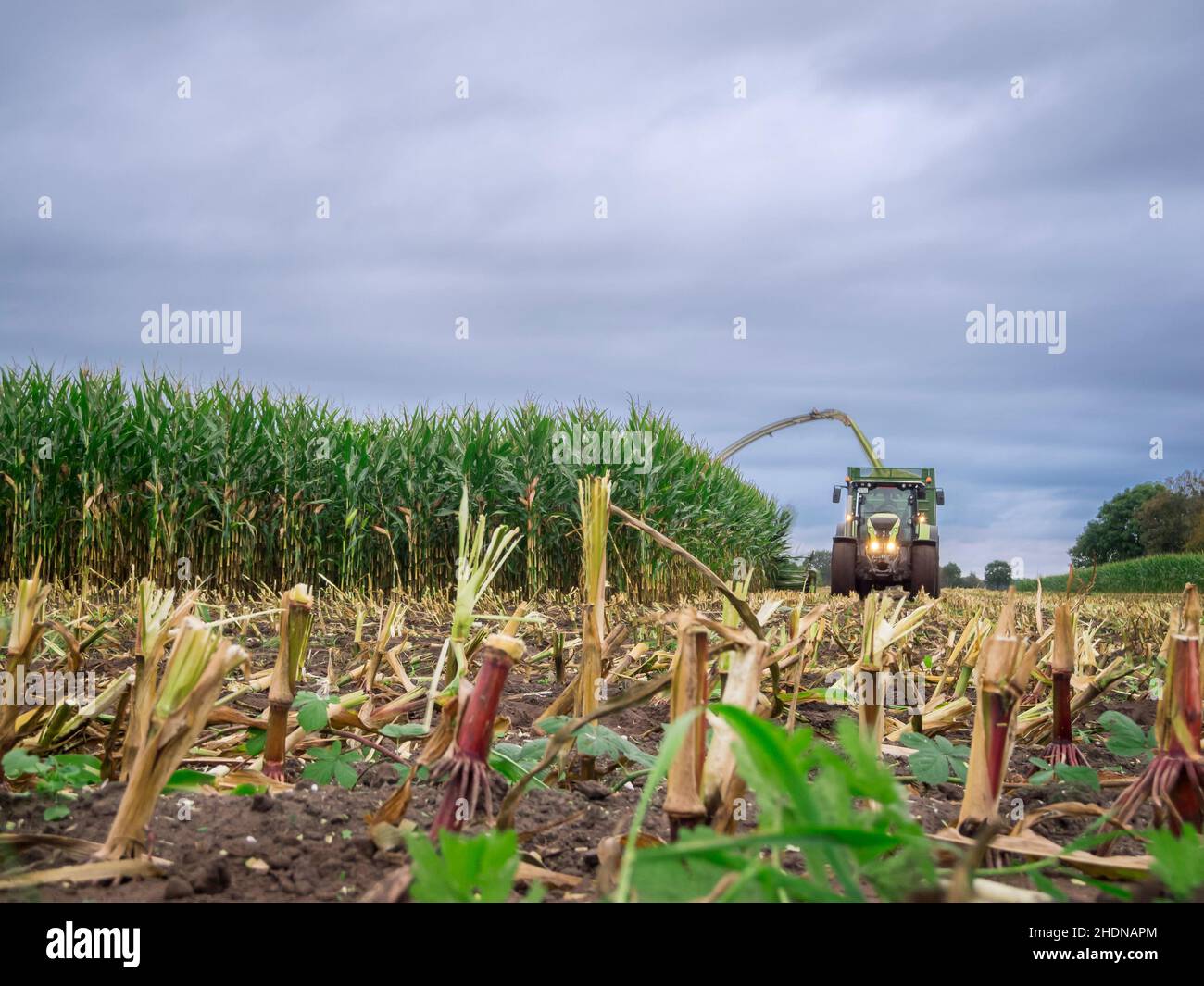 Harvest transport hi-res stock photography and images - Alamy