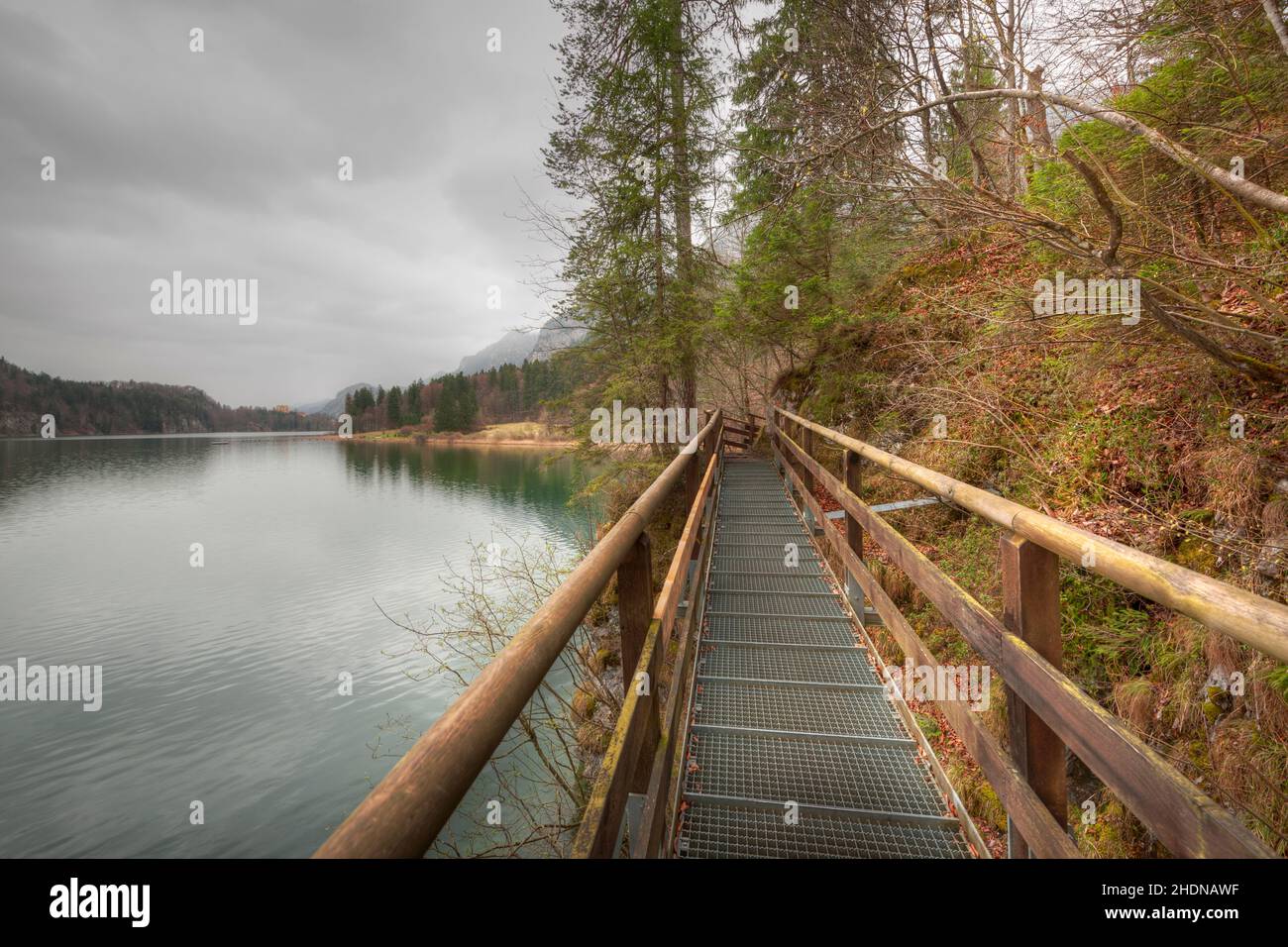 trail, alpsee, trails, alpsees Stock Photo - Alamy