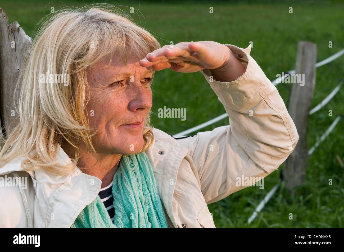 woman, future, look, female, ladies, lady, women, aspiration ...