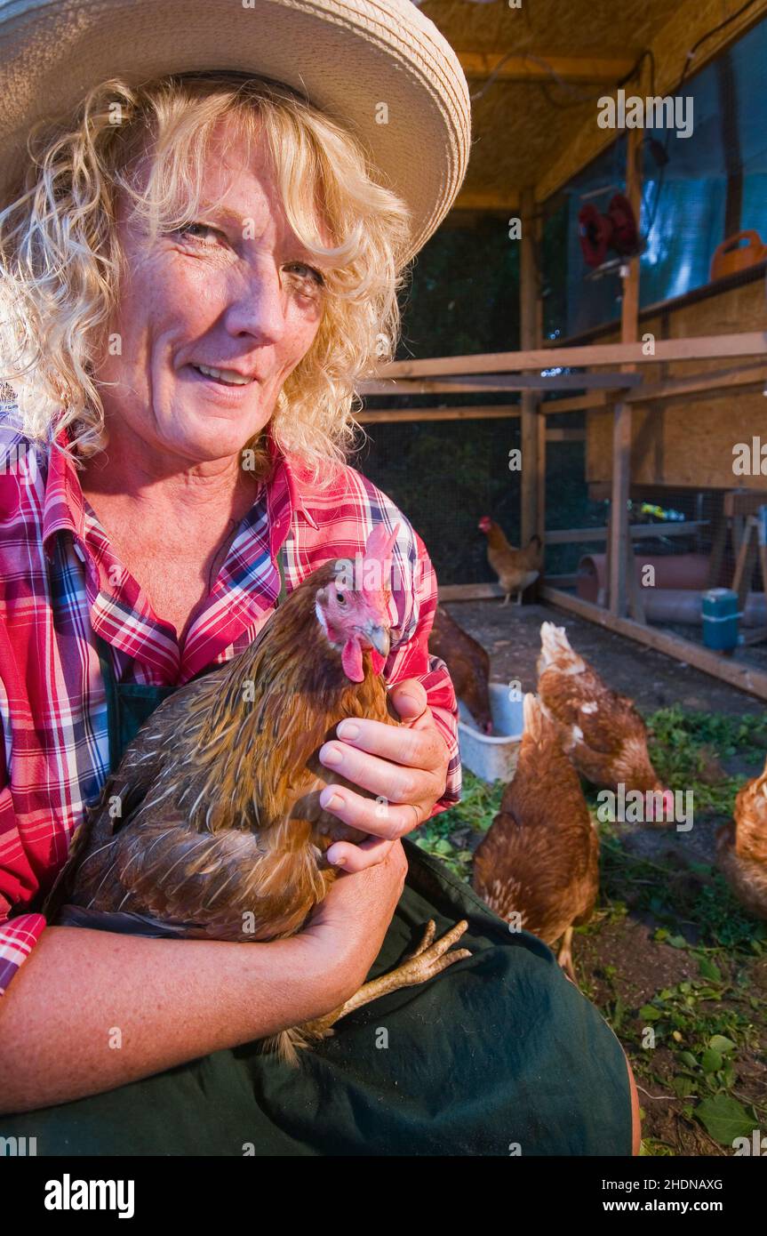 rural scene, farmer, chicken farm, country, country life, rural, rural ...