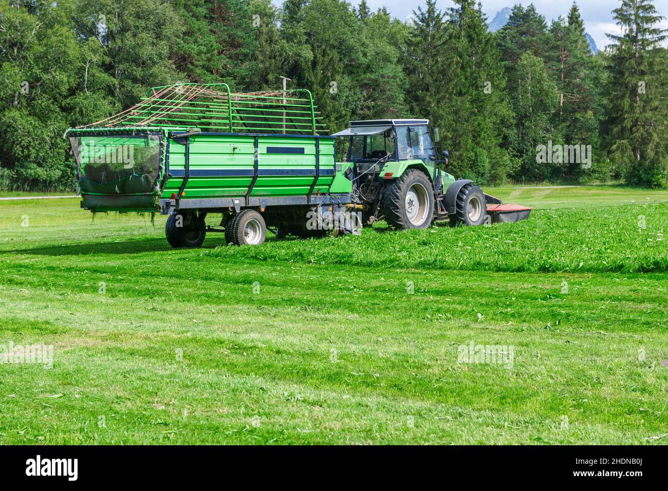 Reaper hay hi-res stock photography and images - Alamy