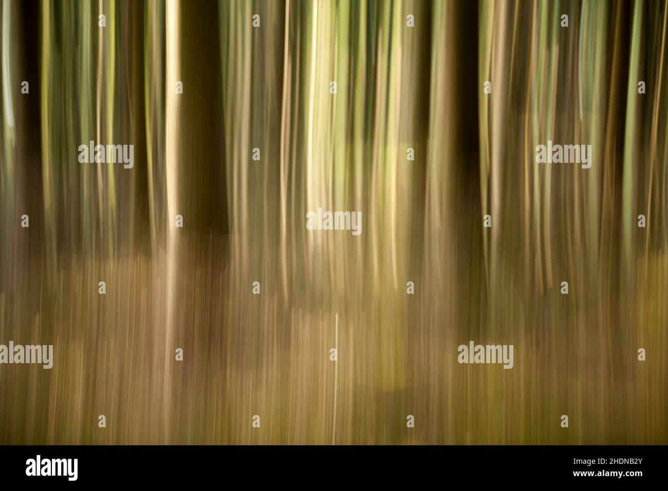 blurred motion, lines, blurred, blur, blured, blurred motions, blurring ...