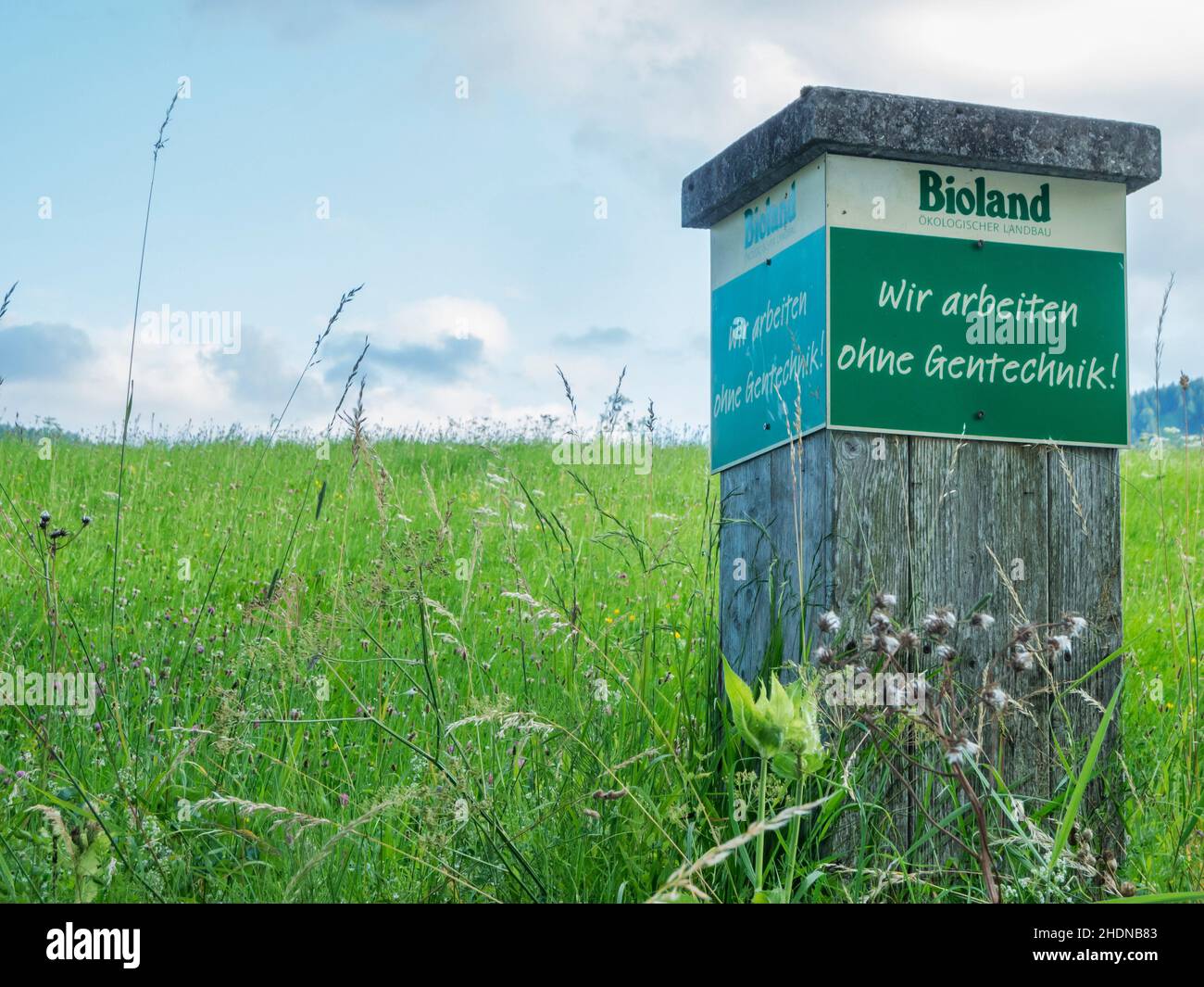 green area, green areas Stock Photo - Alamy