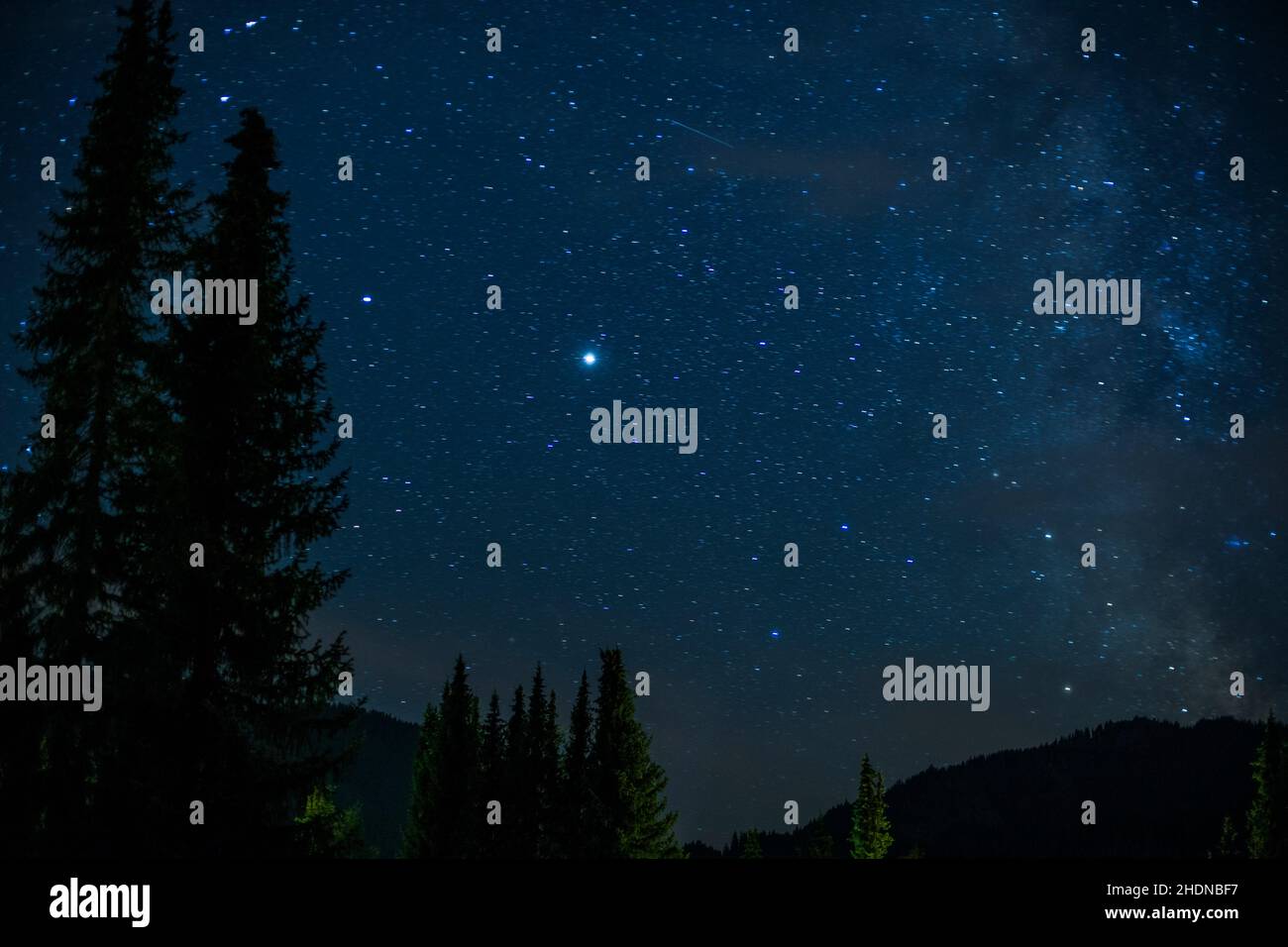 fir, stars sky, night sky, firs, star, night skies Stock Photo - Alamy