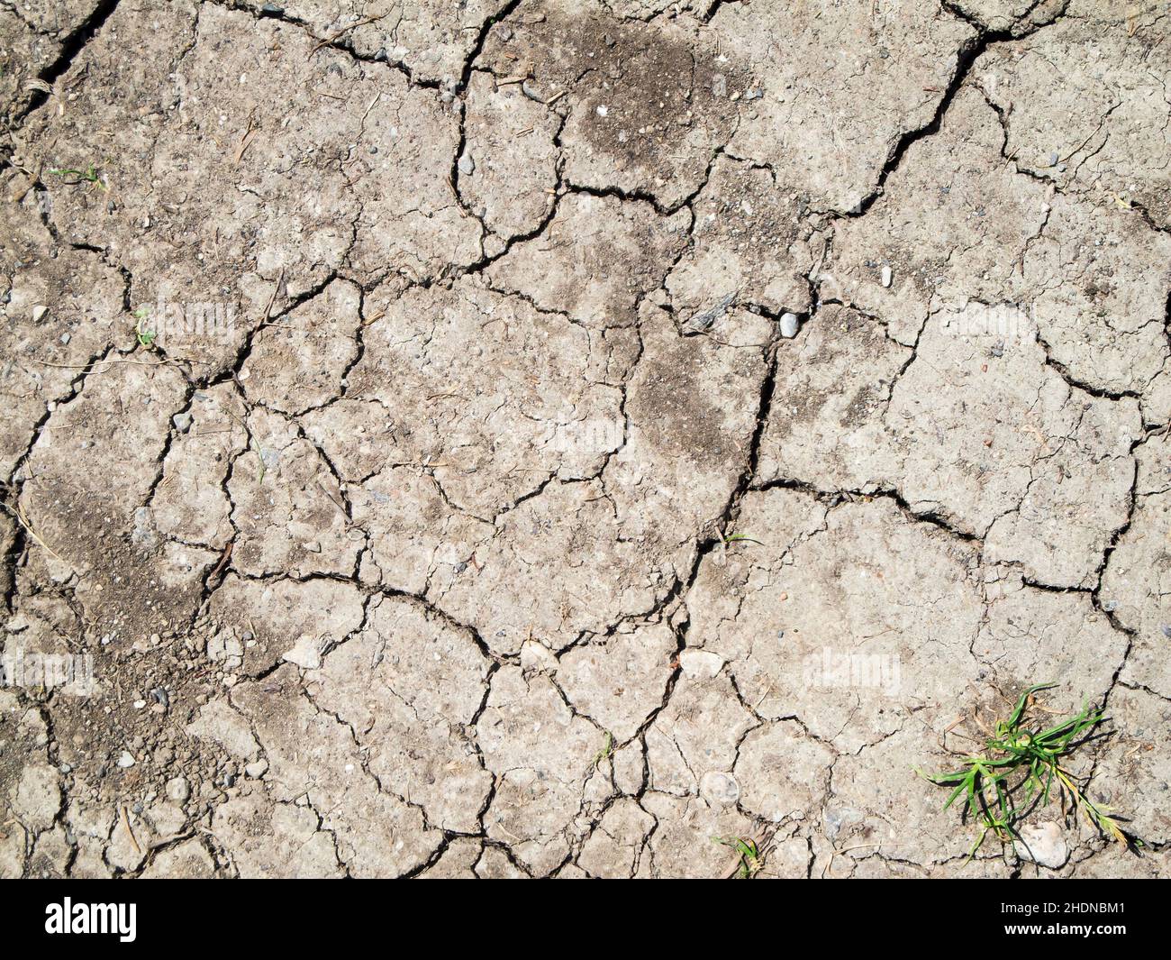 drought, heat, cracked, arid, droughts, dry, dryness, aridity, drouth ...