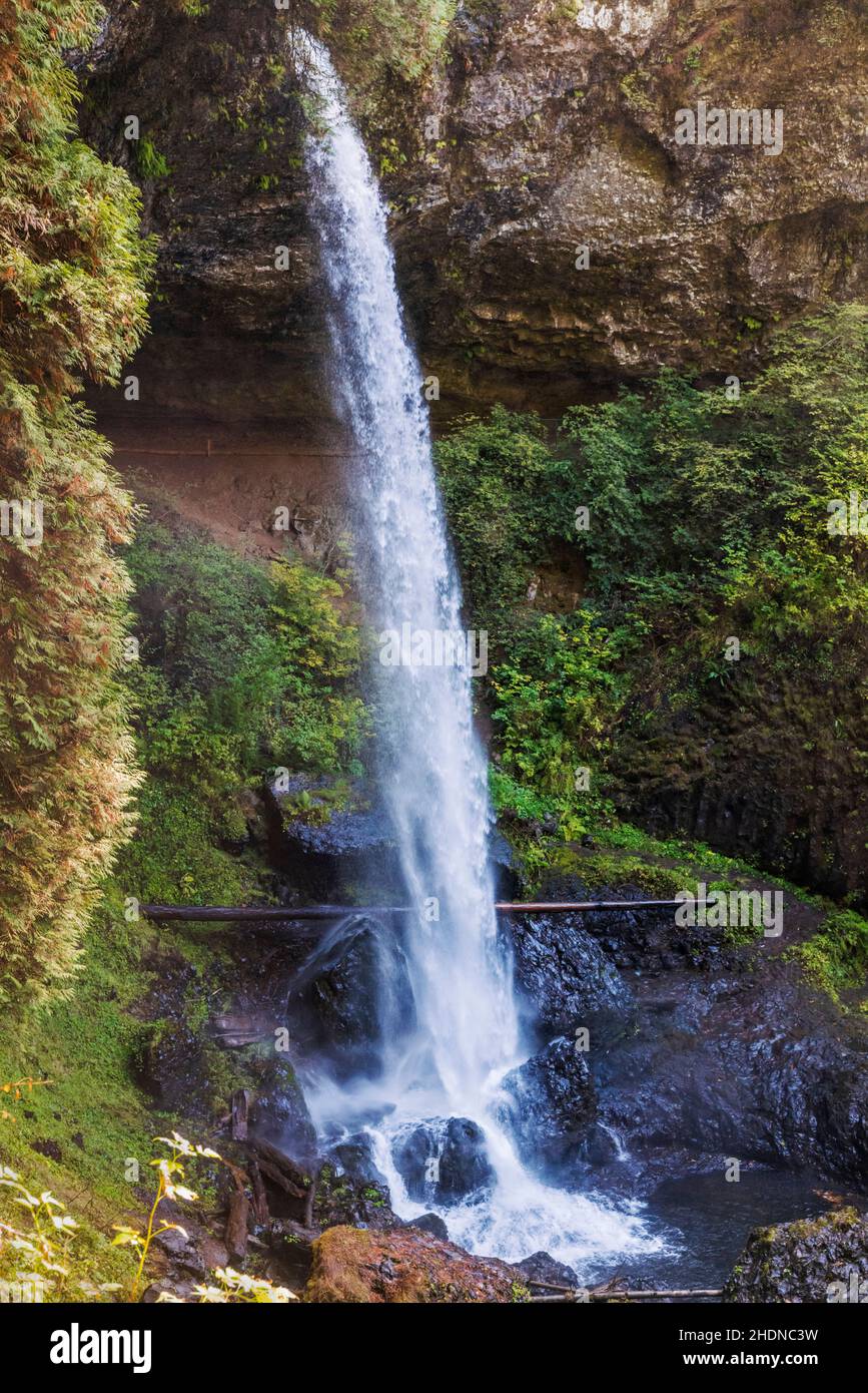 Silver falls state park water hi-res stock photography and images - Alamy