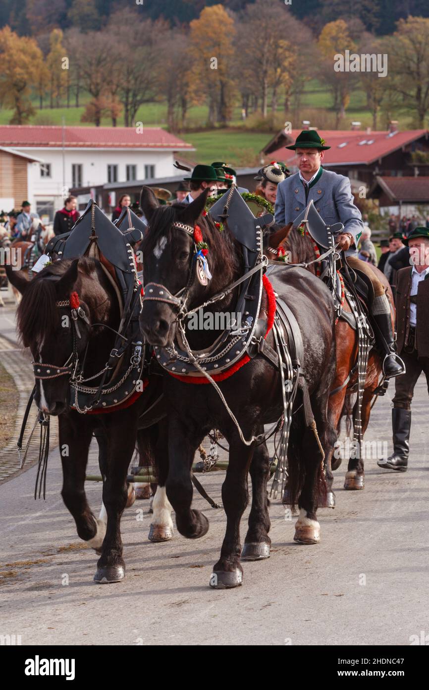 Leonhardiritts hi-res stock photography and images - Alamy