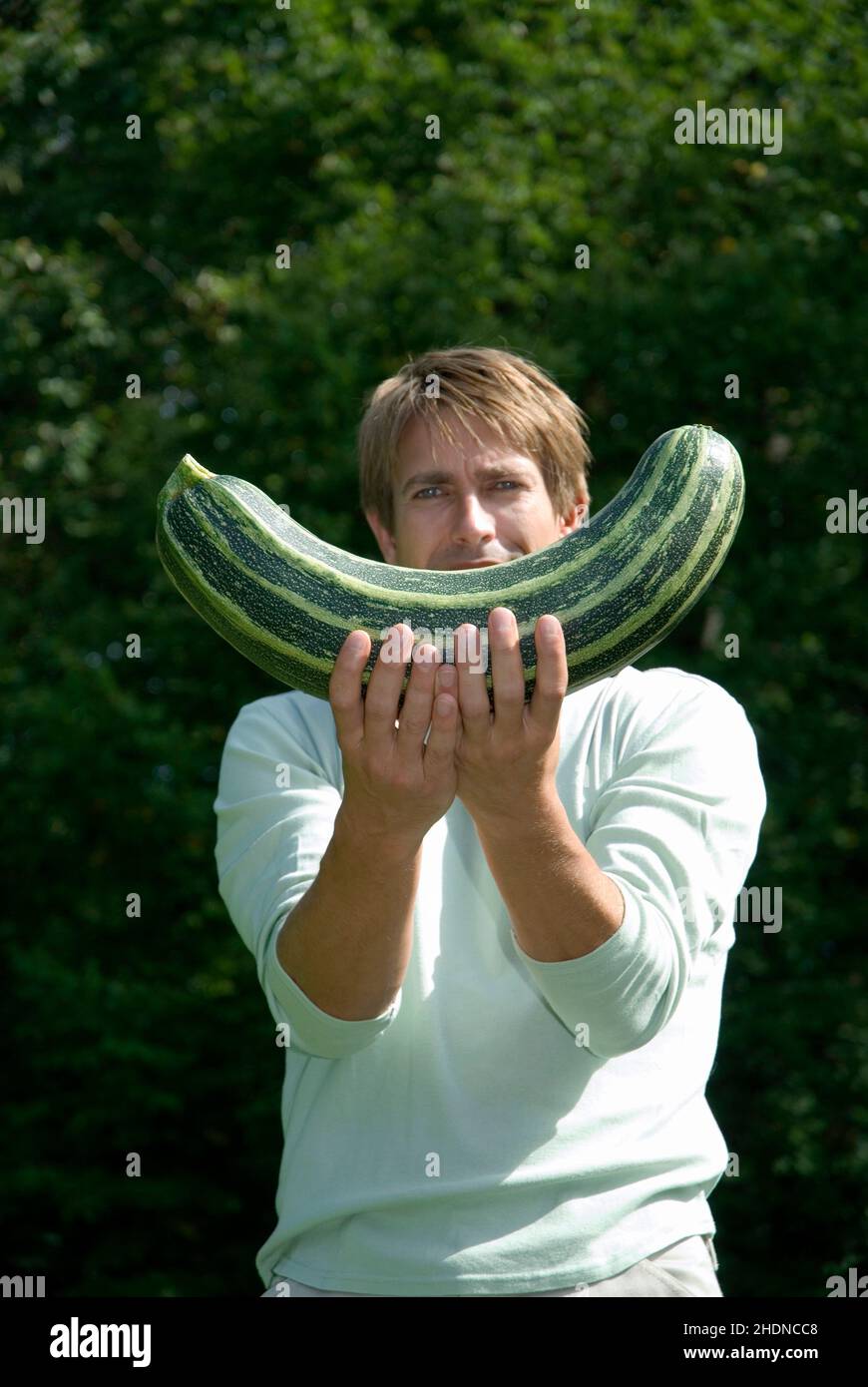 young man, harvest, zucchini, guy, man, men, young, harvests, zucchinis ...
