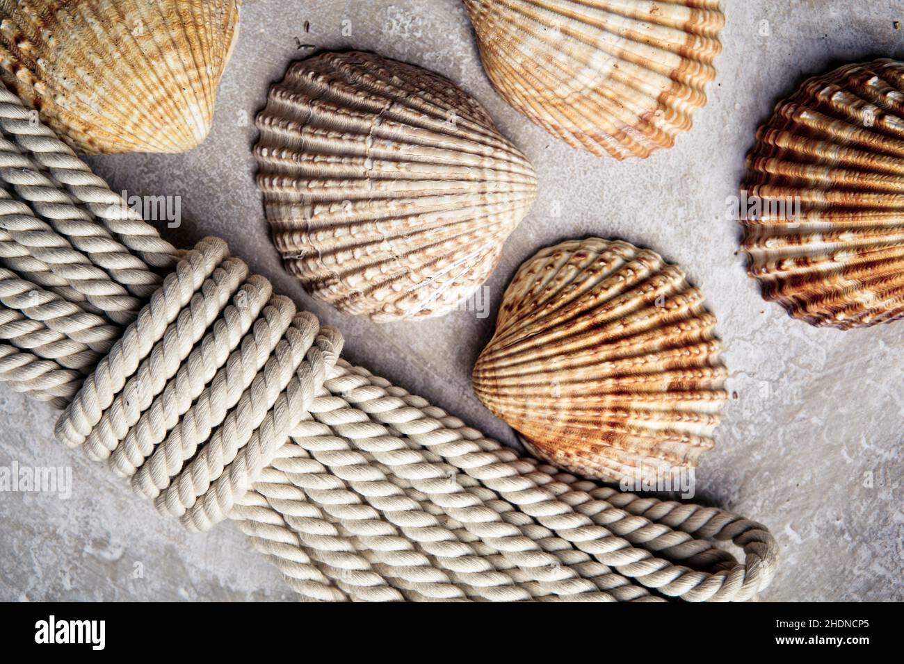 rope, mussels, ropes, mussel Stock Photo - Alamy
