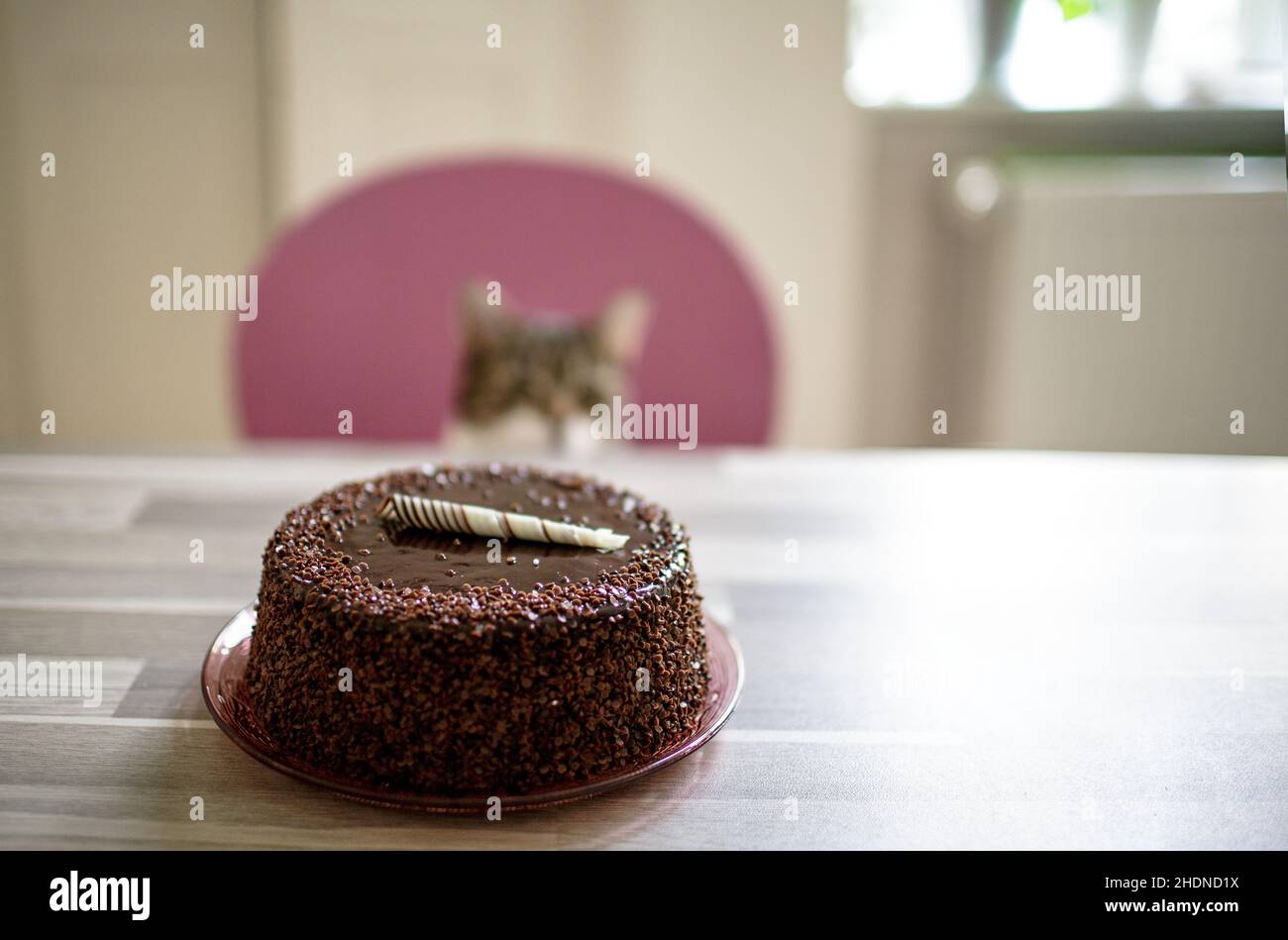 Watching cake hi-res stock photography and images - Alamy