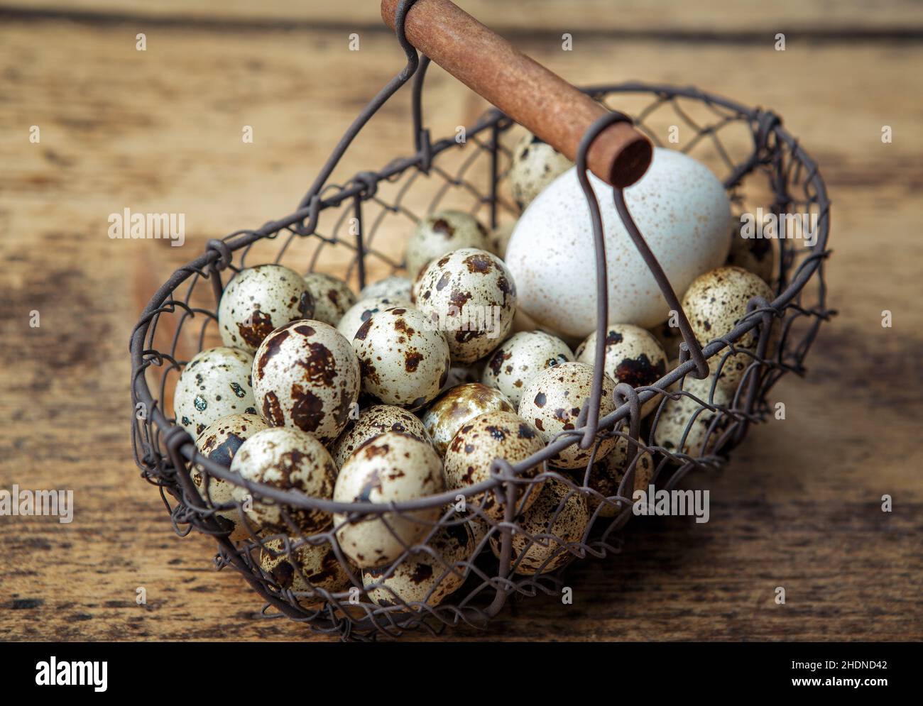 quail, duck egg, quails, duck eggs Stock Photo - Alamy