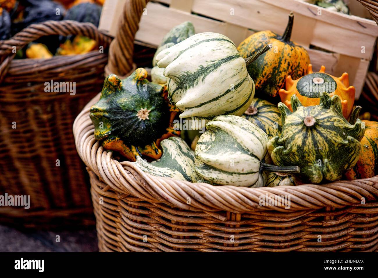 basket, squash, baskets, squashs Stock Photo - Alamy