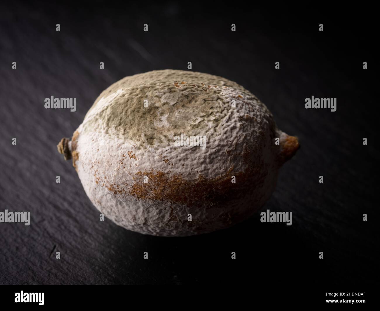 mold, lemon, molding, molds, rising damp, lemons Stock Photo - Alamy
