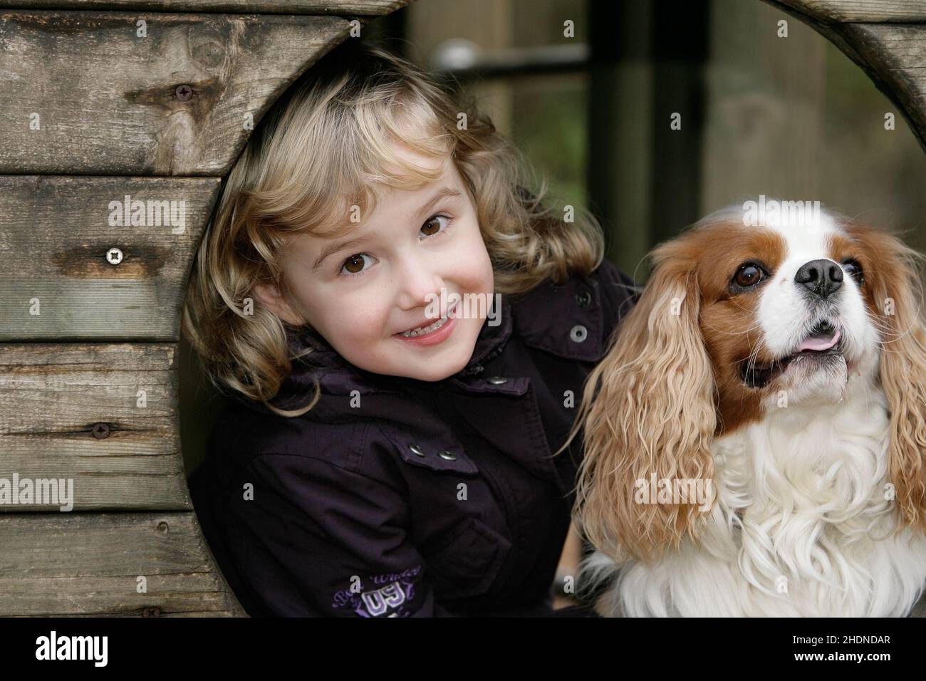 Girls with dogs hi-res stock photography and images - Alamy