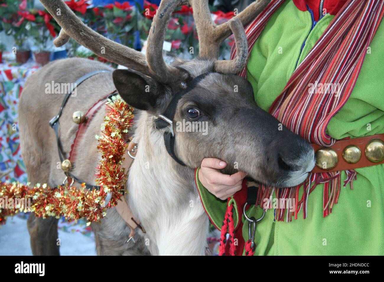 Reindeer costumes hi-res stock photography and images - Alamy