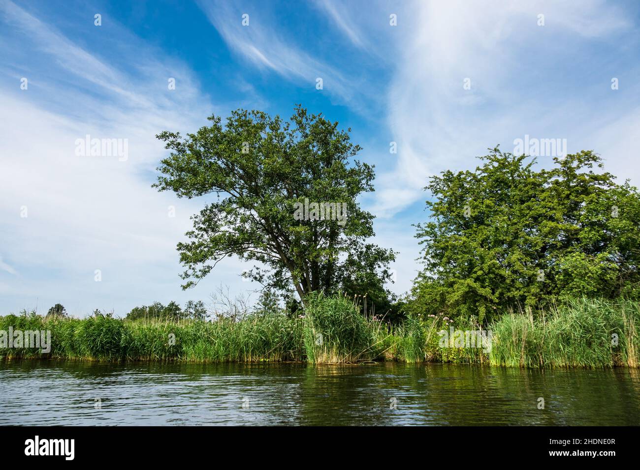 Peene shore hi-res stock photography and images - Alamy